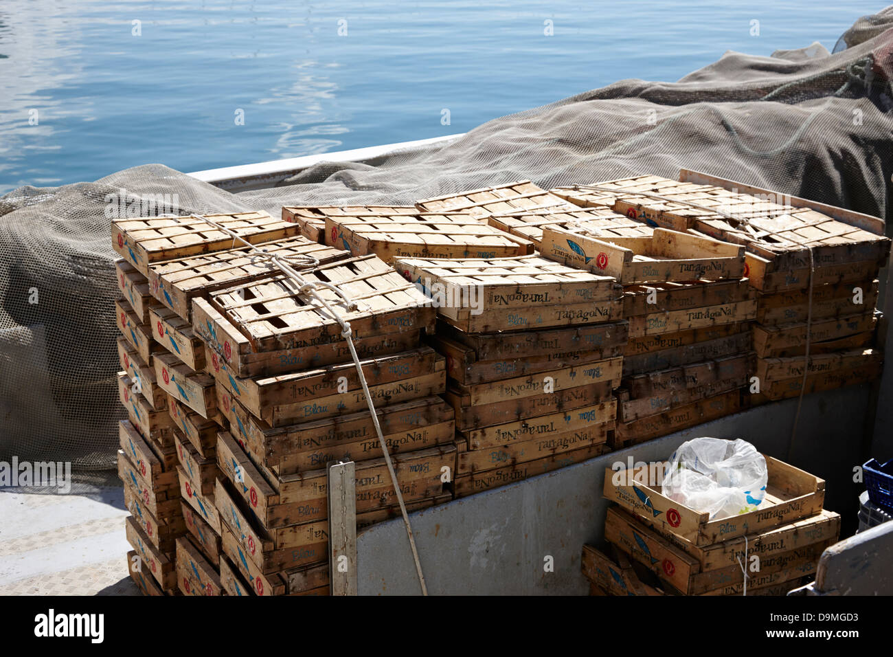 Sardines de tarragone de poisson bleu Banque de photographies et d ...