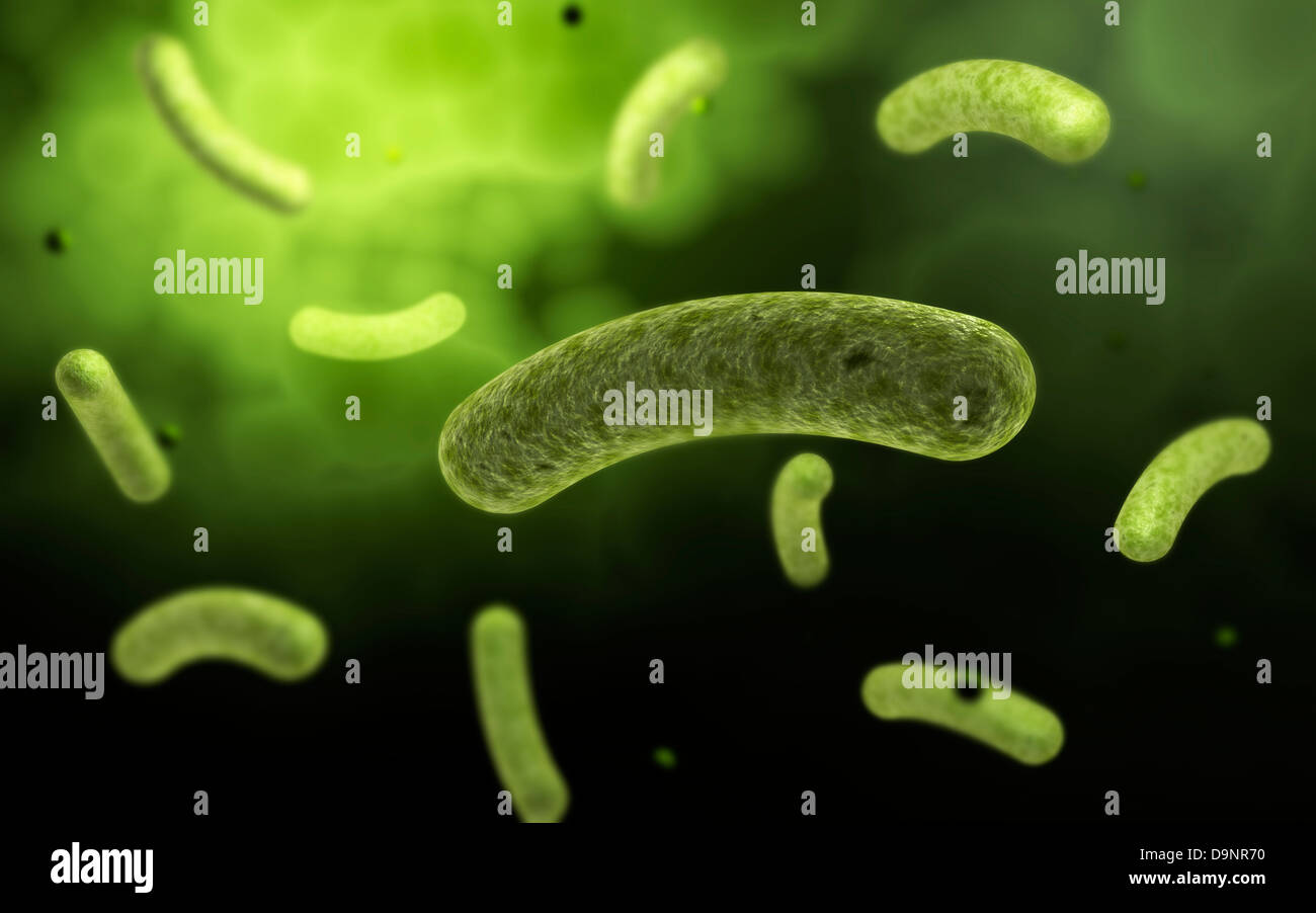 Microscopic image bacteria Banque de photographies et d’images à haute ...