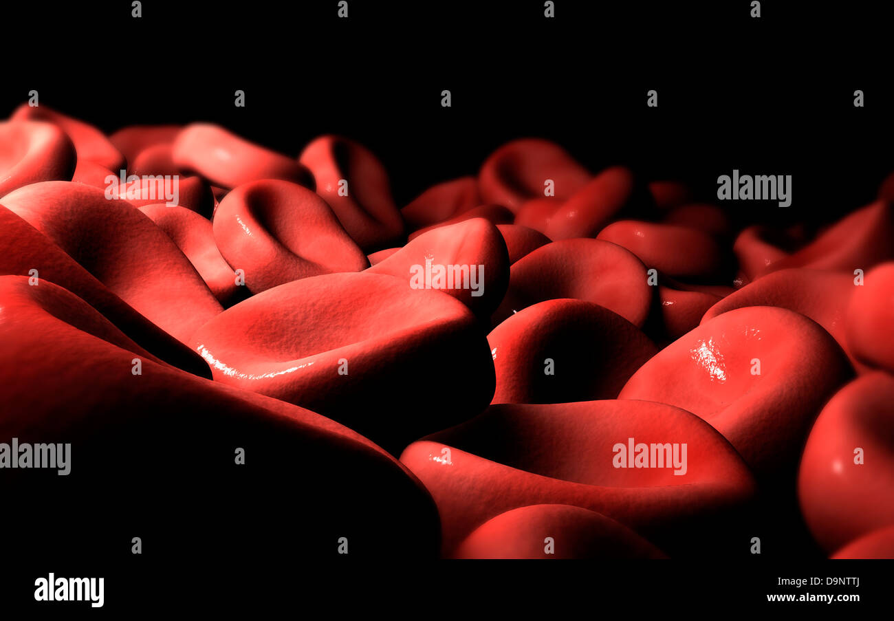 Anatomie microscopique Banque de photographies et d’images à haute ...