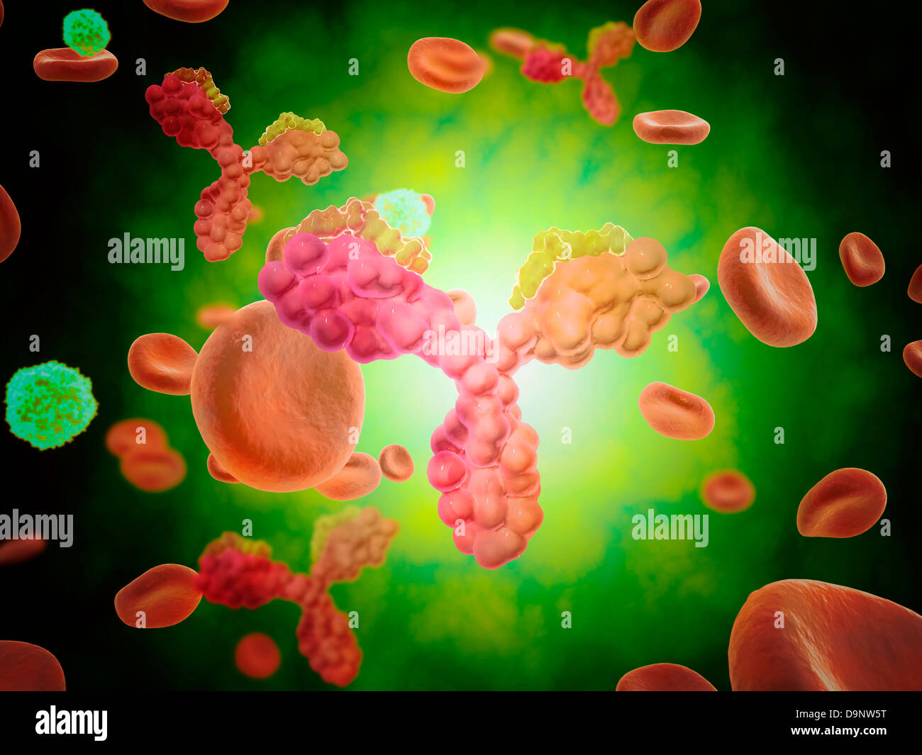 Cellules du corps Banque de photographies et d’images à haute ...