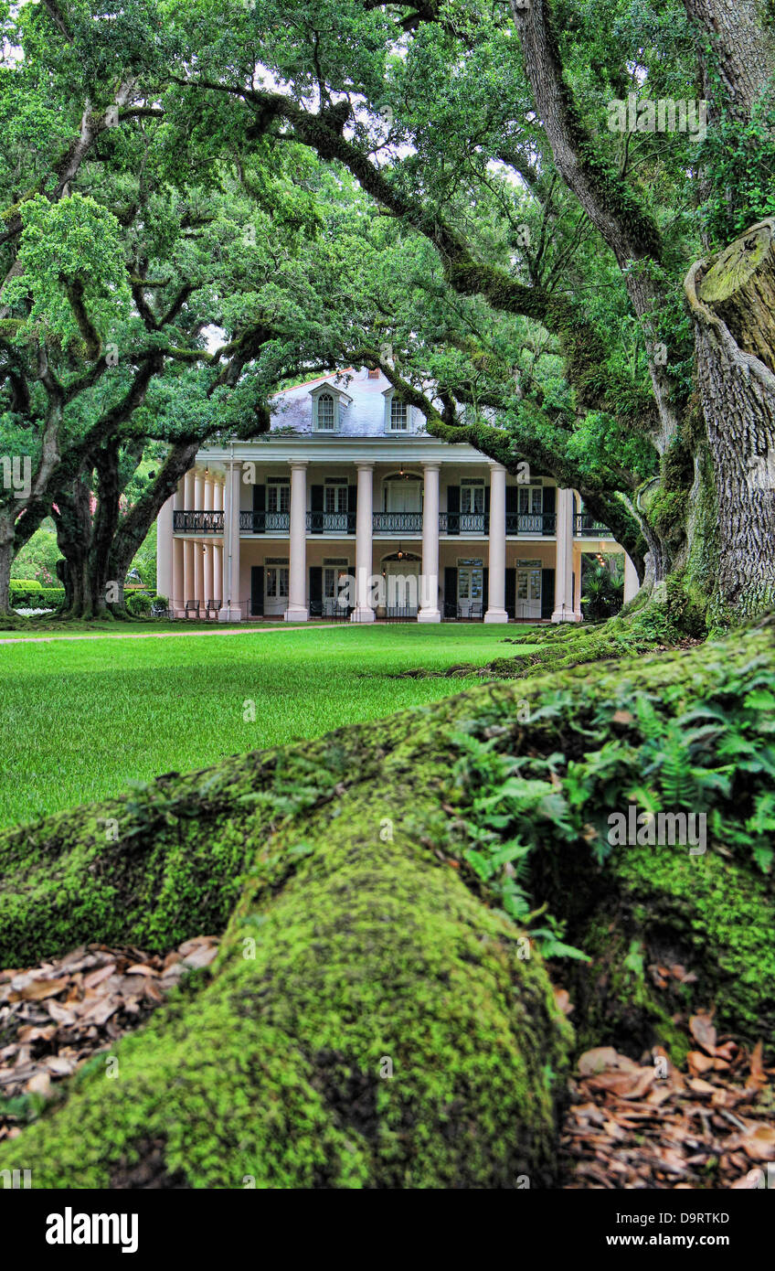 Oak alley plantation mansion Banque de photographies et d’images à ...