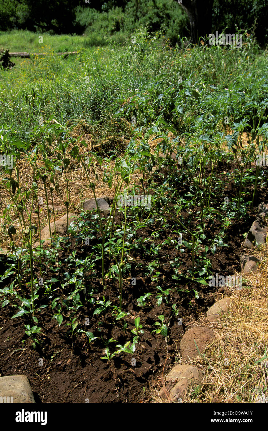 Zeghe peninsula Banque de photographies et d’images à haute résolution ...