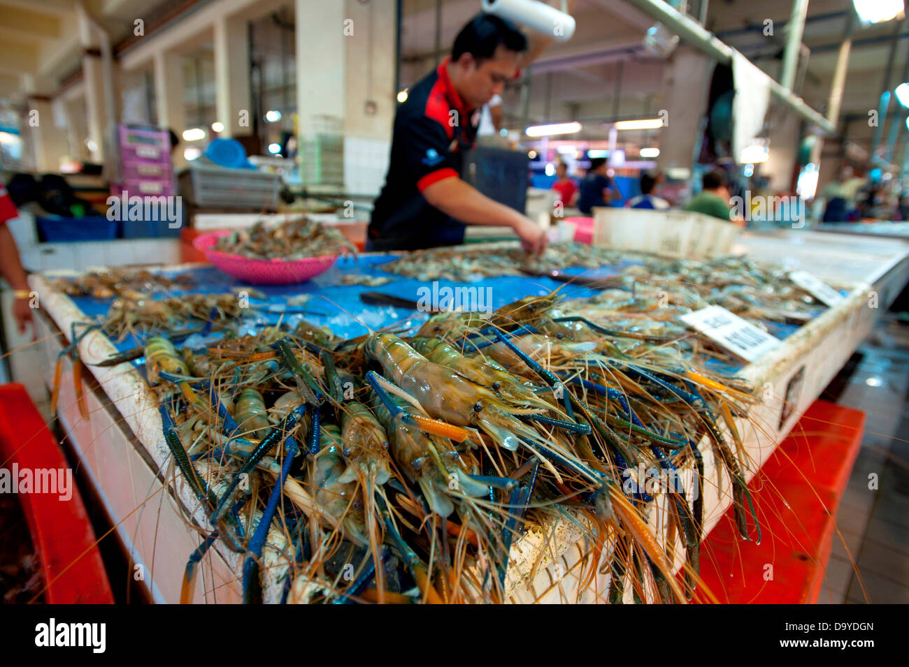 Crevettes géantes d'eau douce (Macrobrachium rosenbergii) à la vente à ...