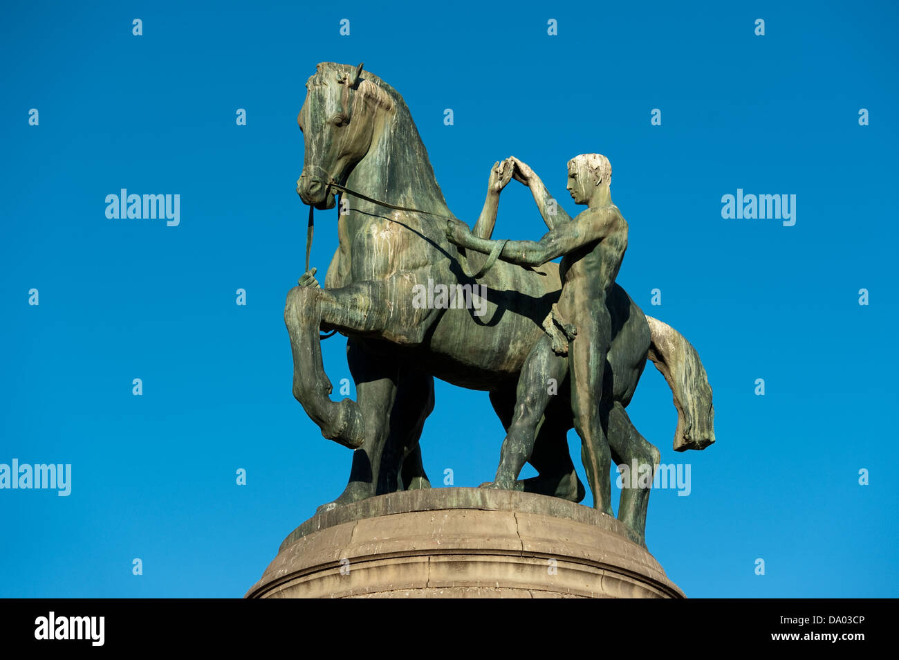 Delville Wood Memorial, le jardin de la compagnie, Le Cap, Afrique du ...