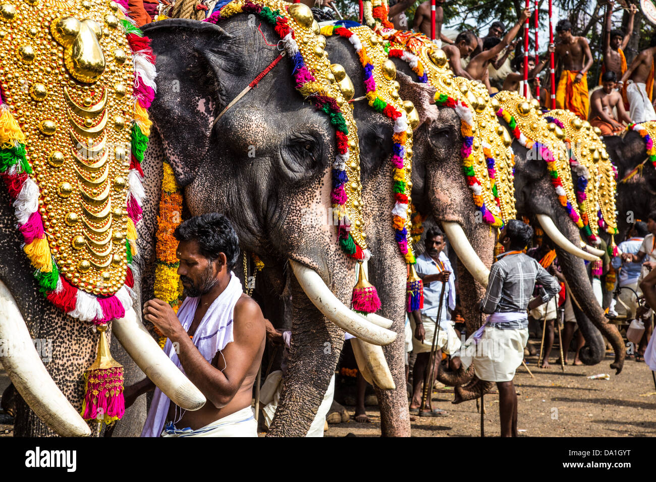 Thrissur pooram elephant festival Banque de photographies et d’images à ...