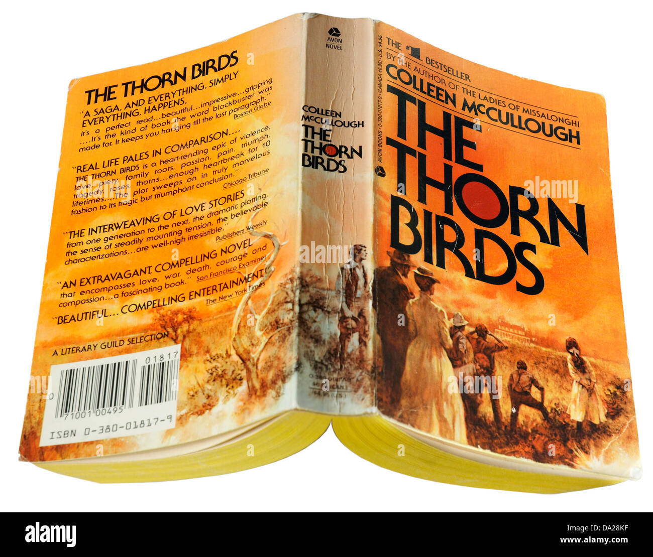 The thorn birds Banque de photographies et d’images à haute résolution ...