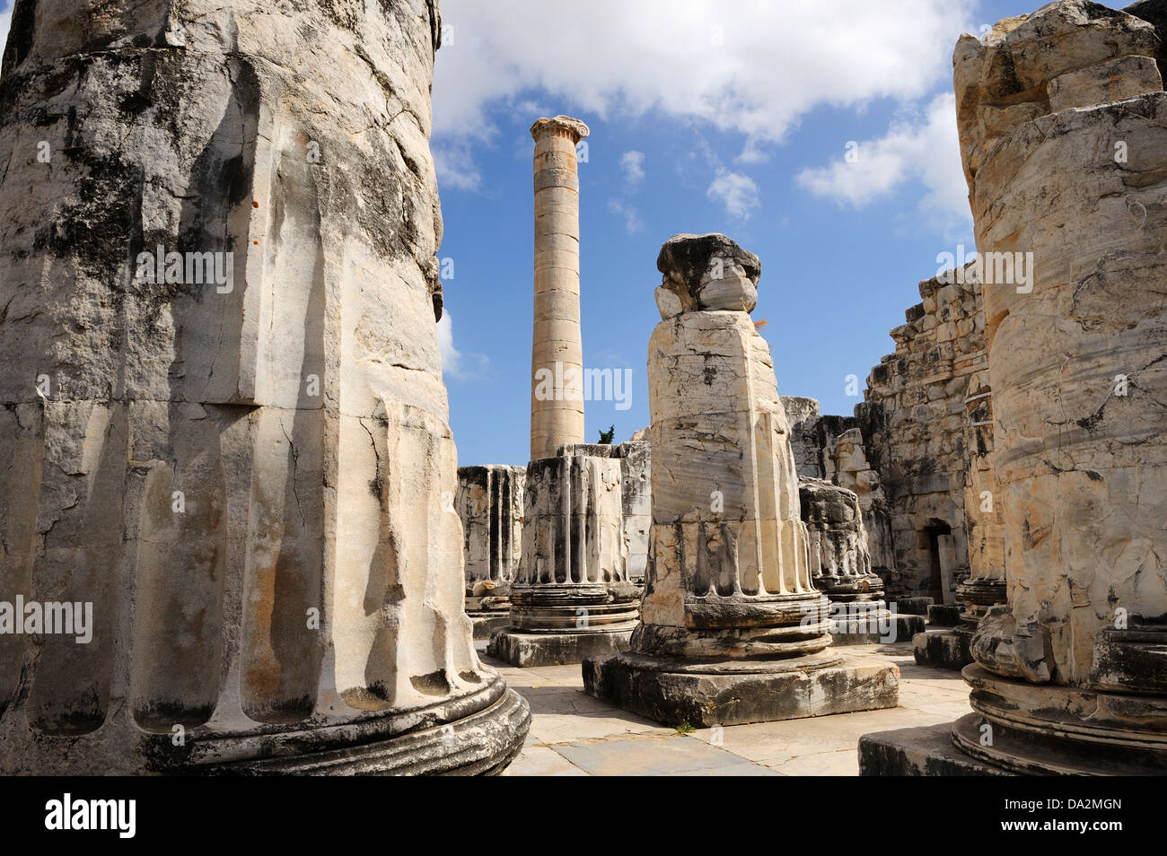 Didyma didim Banque de photographies et d’images à haute résolution - Alamy