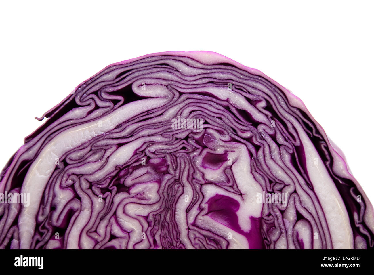 Chou rouge frais Banque de photographies et d’images à haute résolution ...