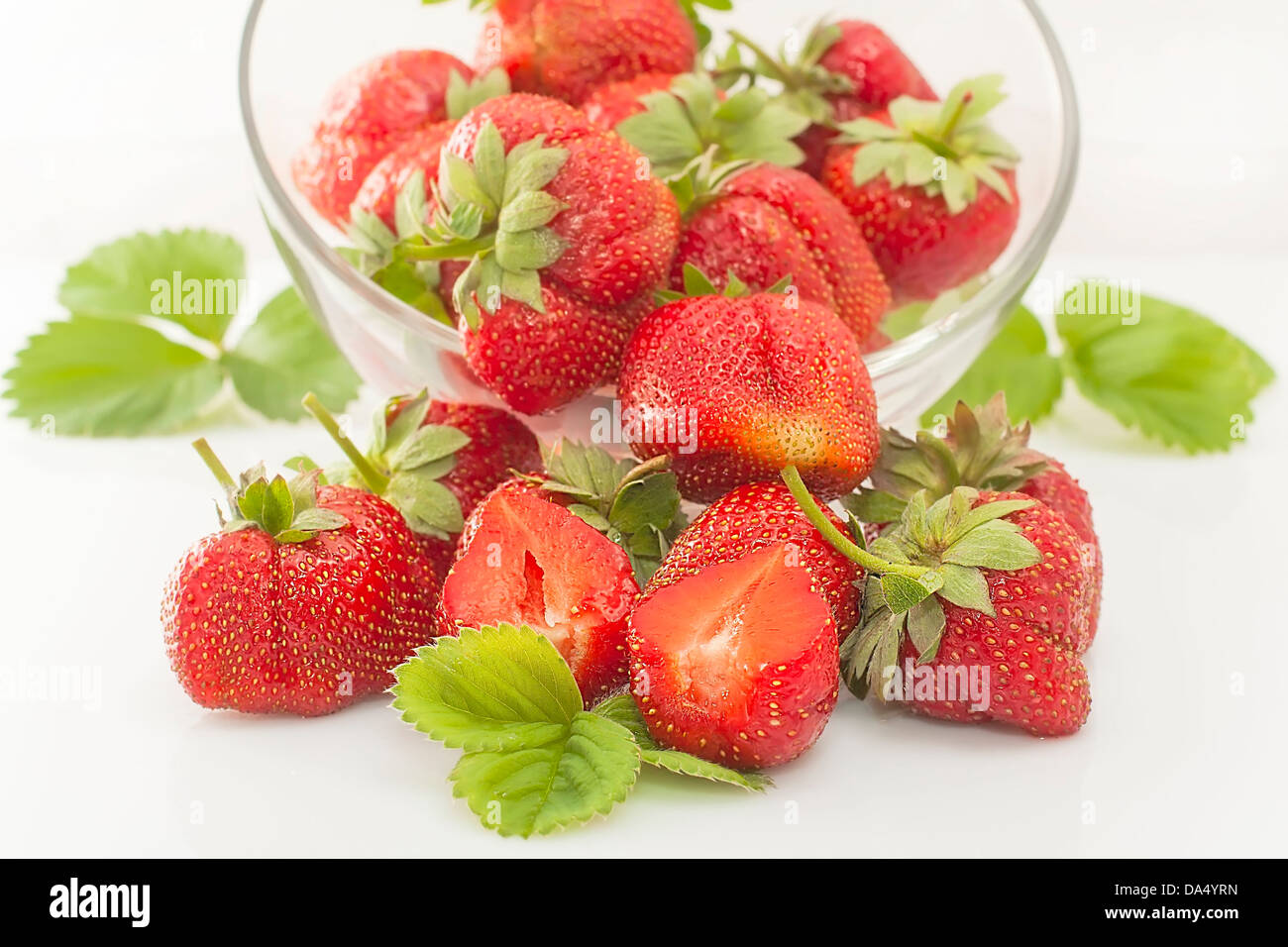 Grosses fraises Banque de photographies et d’images à haute résolution ...