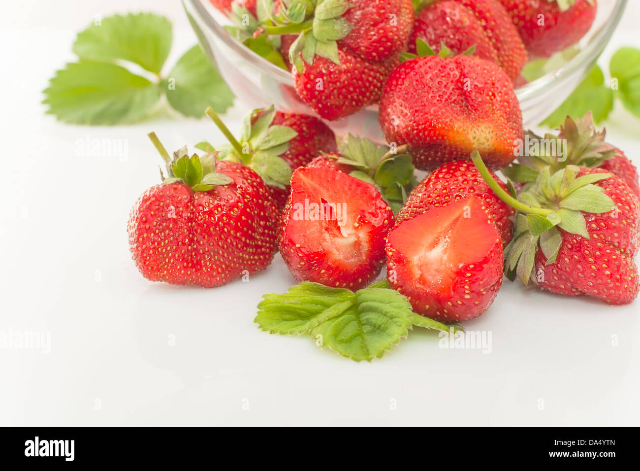 Grosses fraises Banque de photographies et d’images à haute résolution ...