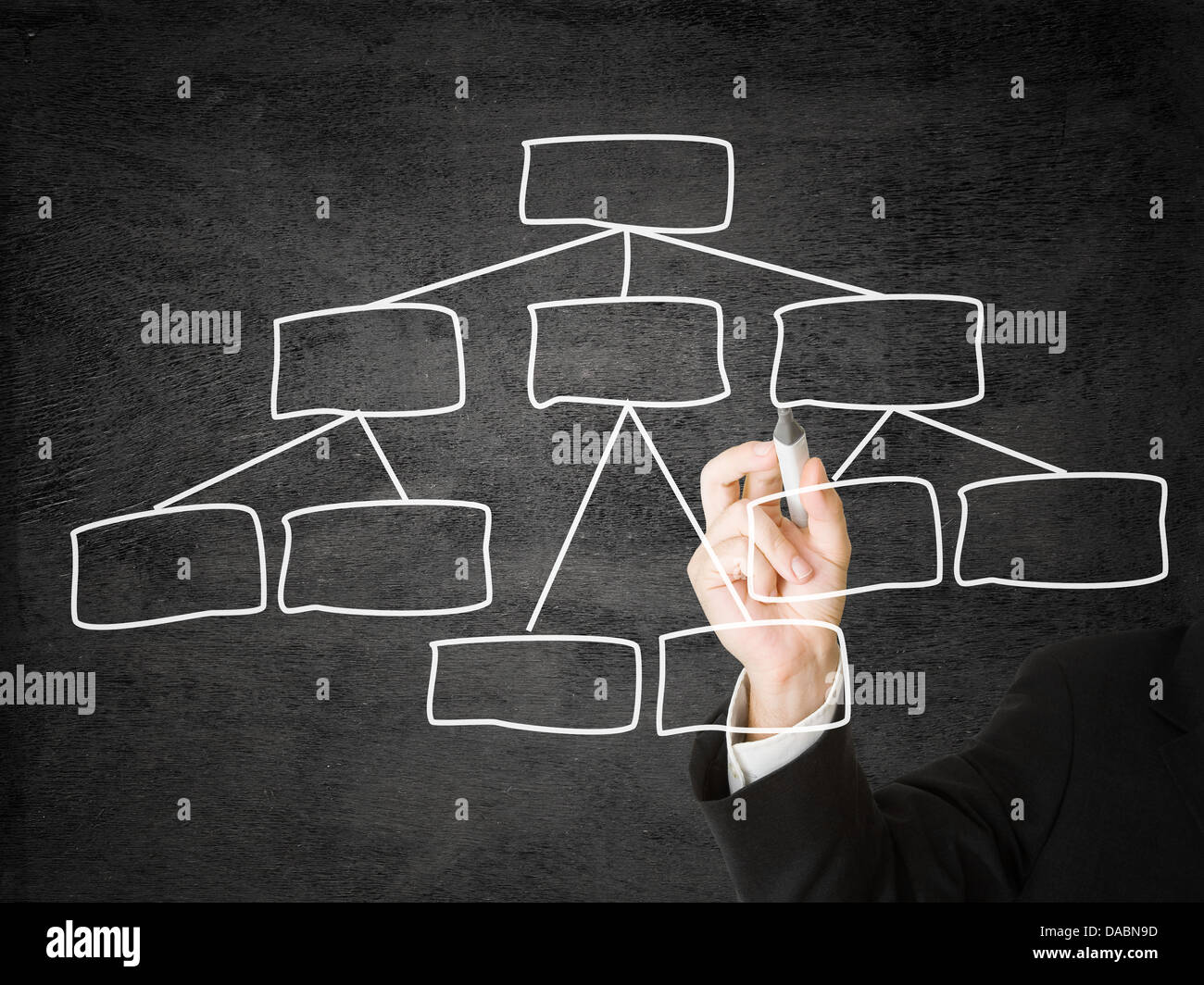 Dessin d'affaires pour une organisation Organigramme vierge Photo Stock ...