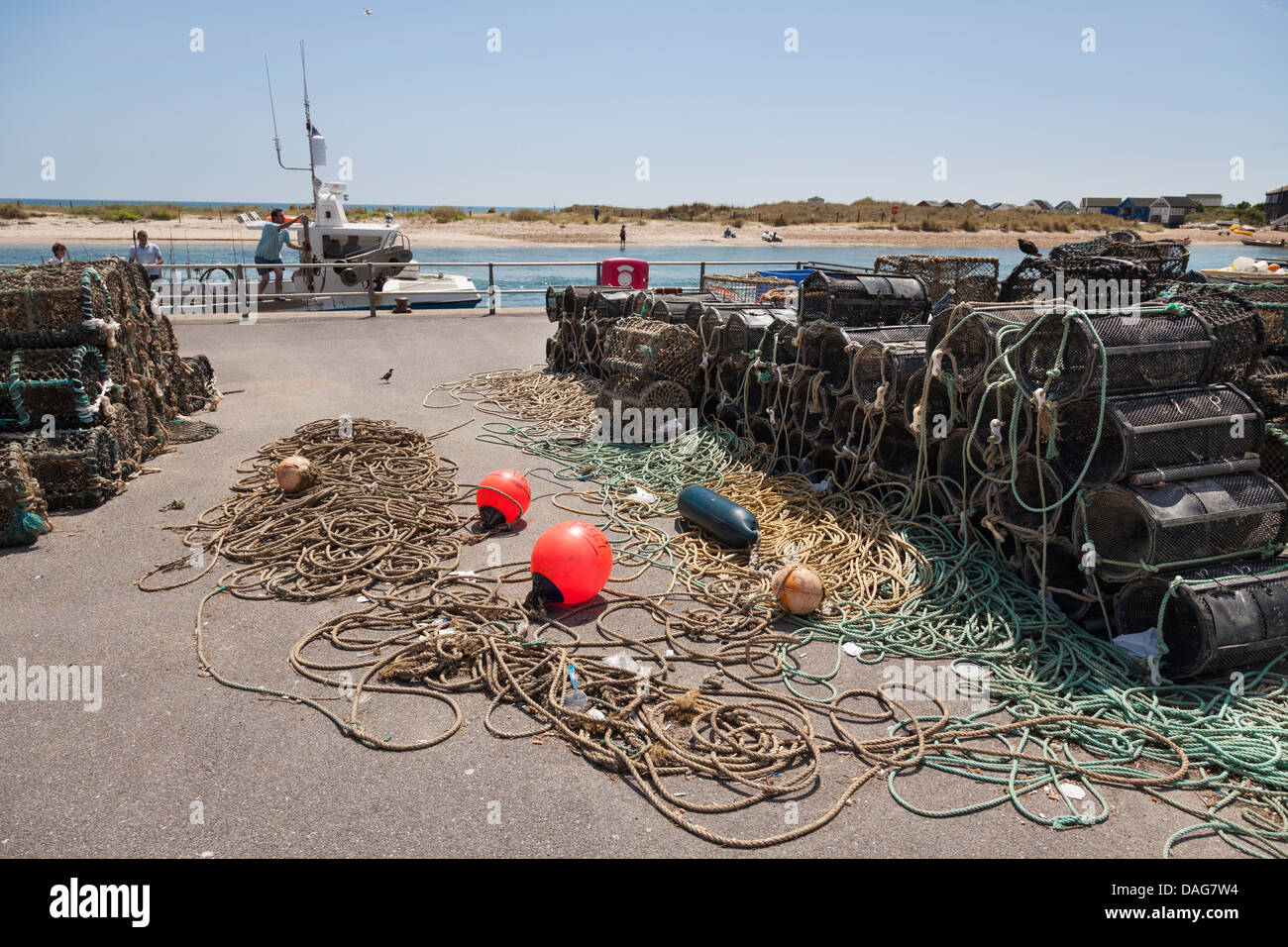 Homard crabes Banque de photographies et d’images à haute résolution ...