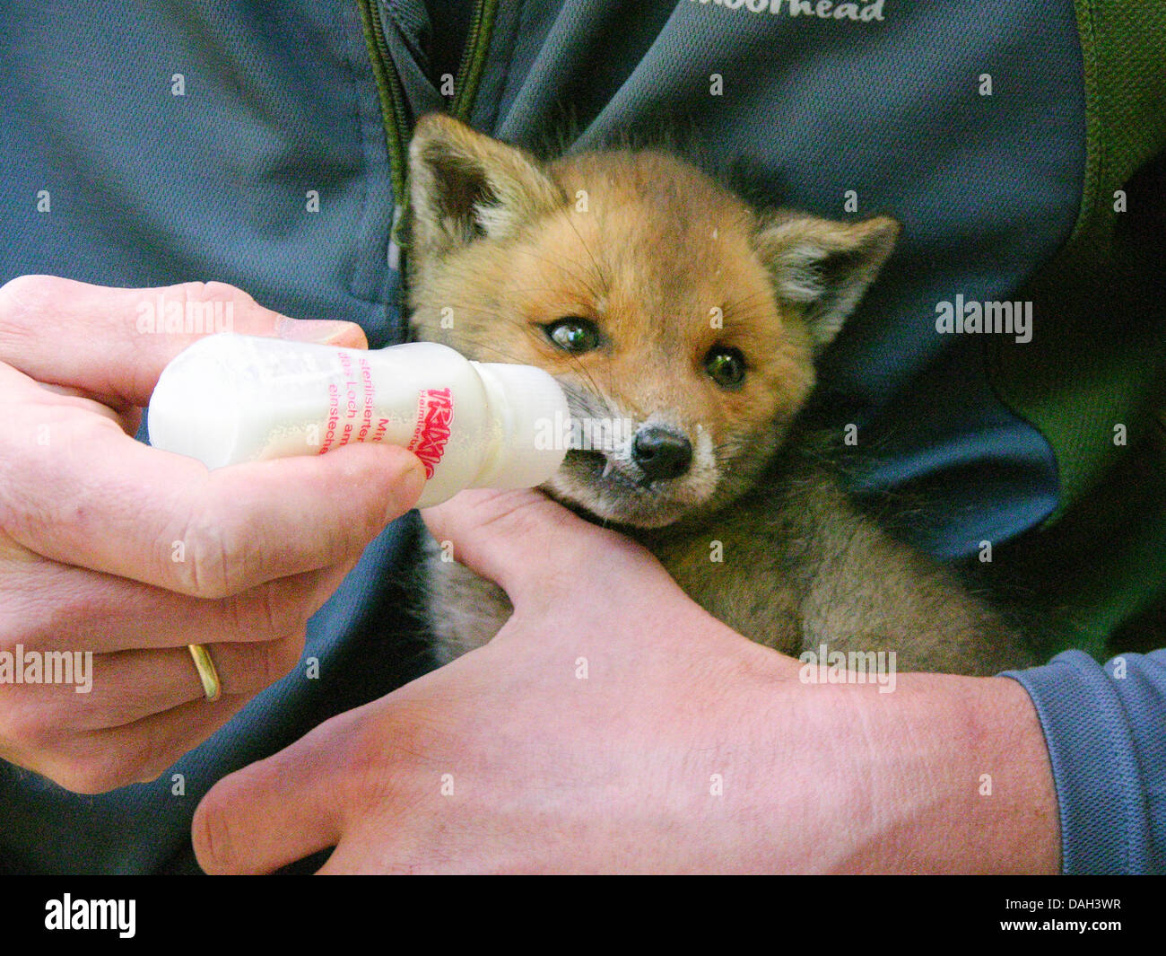 Levé à la main Banque de photographies et d’images à haute résolution ...