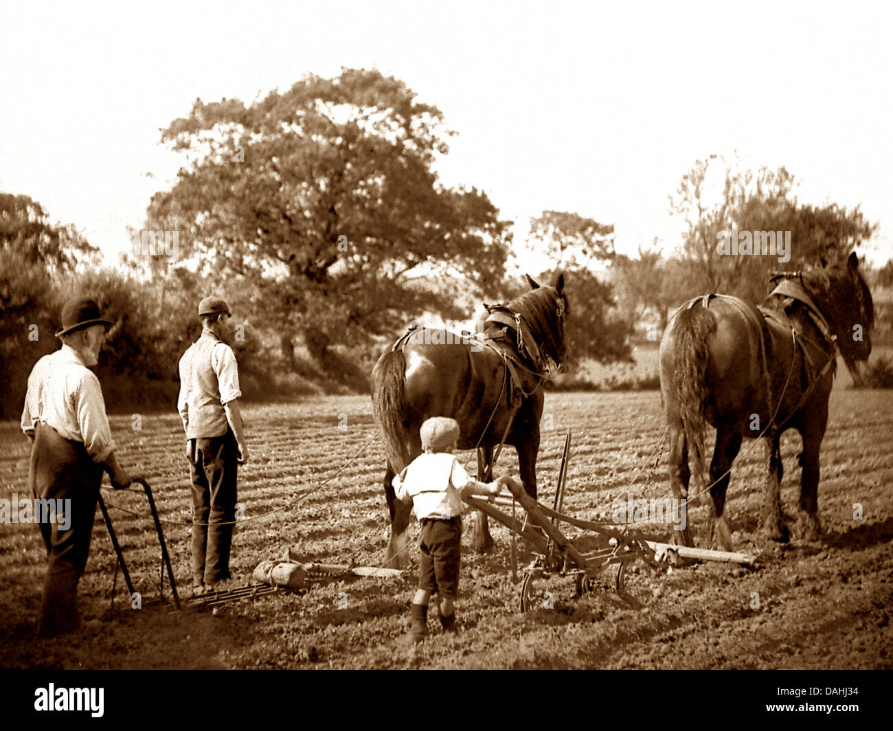 Labourer ou Banque de photographies et d’images à haute résolution - Alamy