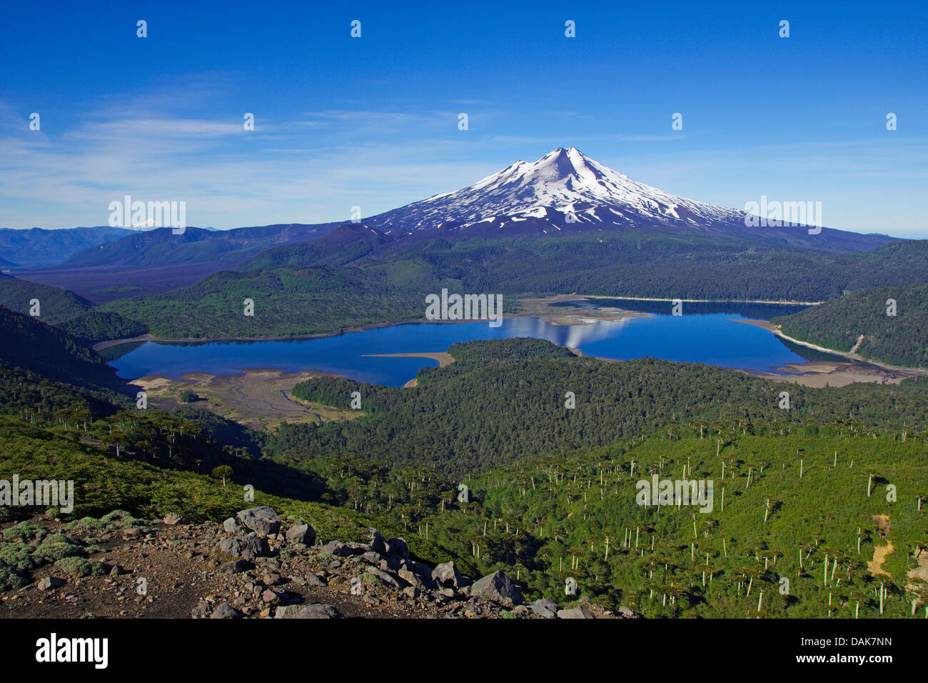 Volcan lama et lago conguillio Banque de photographies et d’images à ...