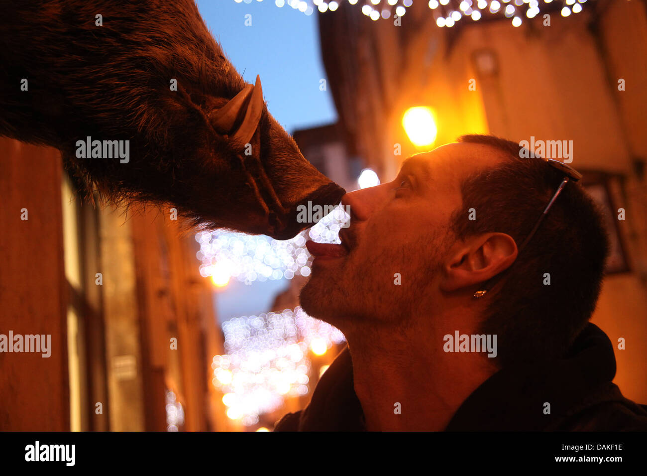 Boar hunter Banque de photographies et d’images à haute résolution - Alamy