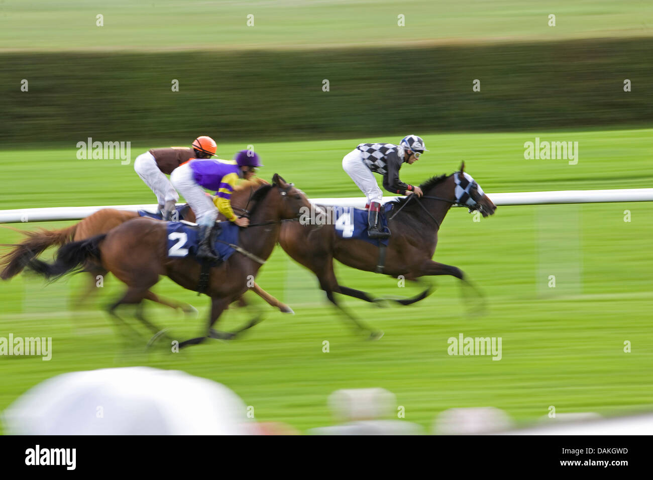 Courses de chevaux action de course Banque de photographies et d’images ...