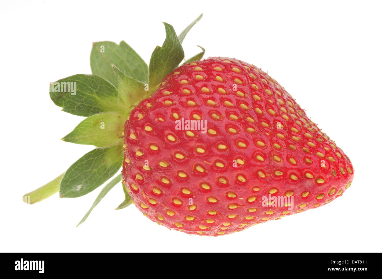 Des fraises fraîches isolées sur fond blanc Photo Stock - Alamy