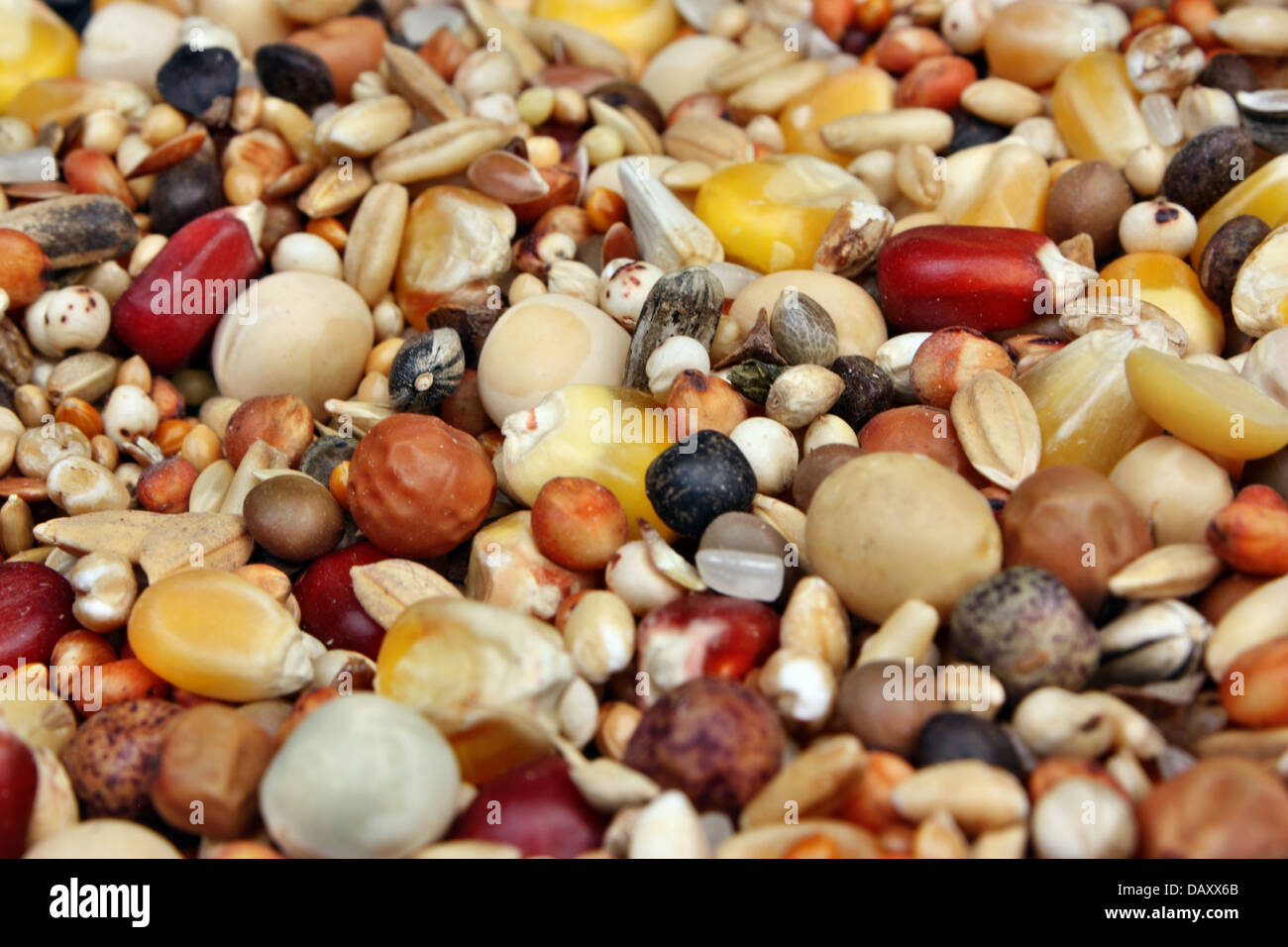 Aliment pour animaux familiers Photo Stock - Alamy