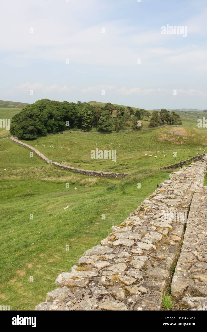 Mur fort des hadriens fort Banque de photographies et d’images à haute ...