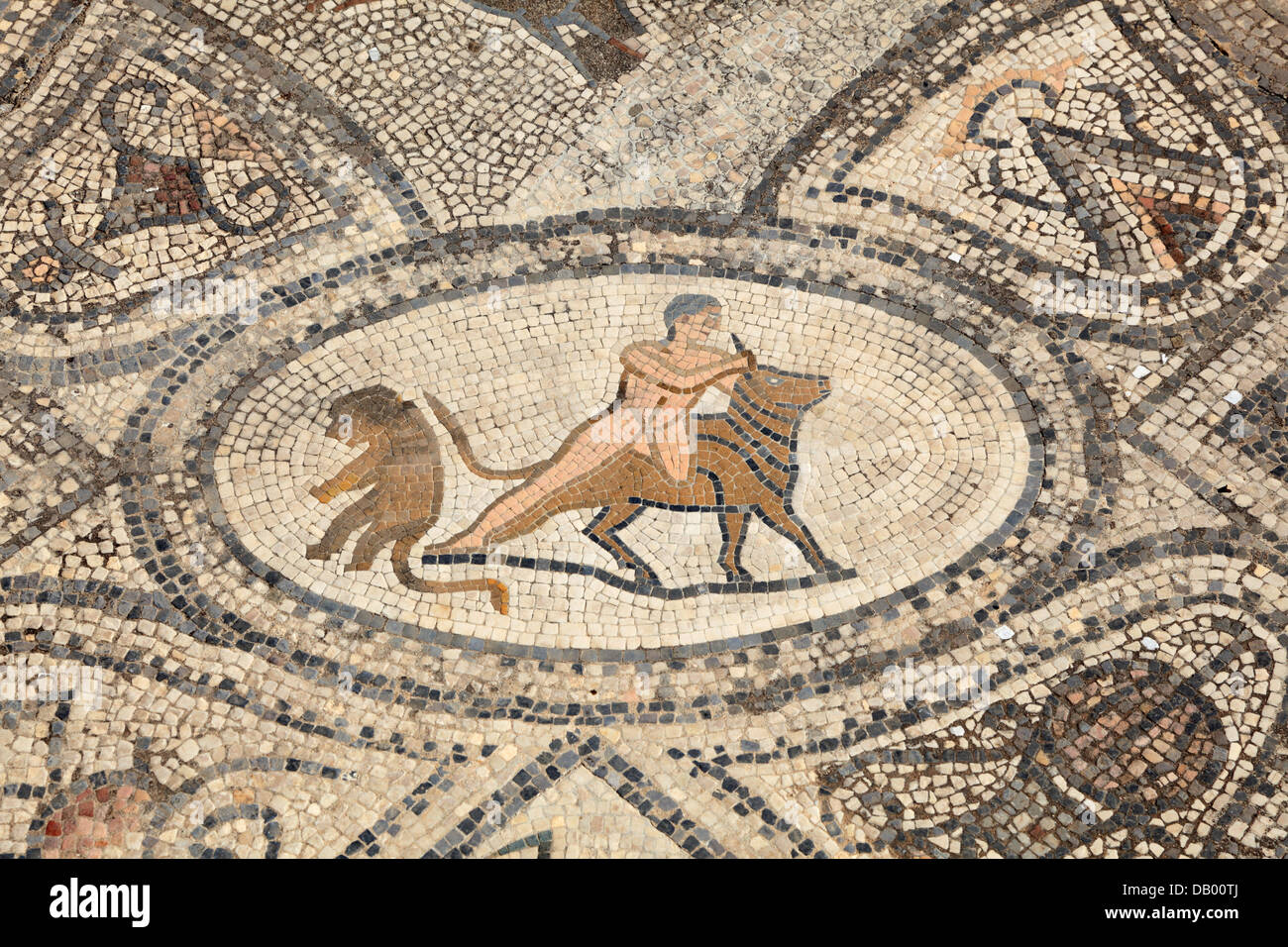 Mosaïque romaine africaine Banque de photographies et d’images à haute ...
