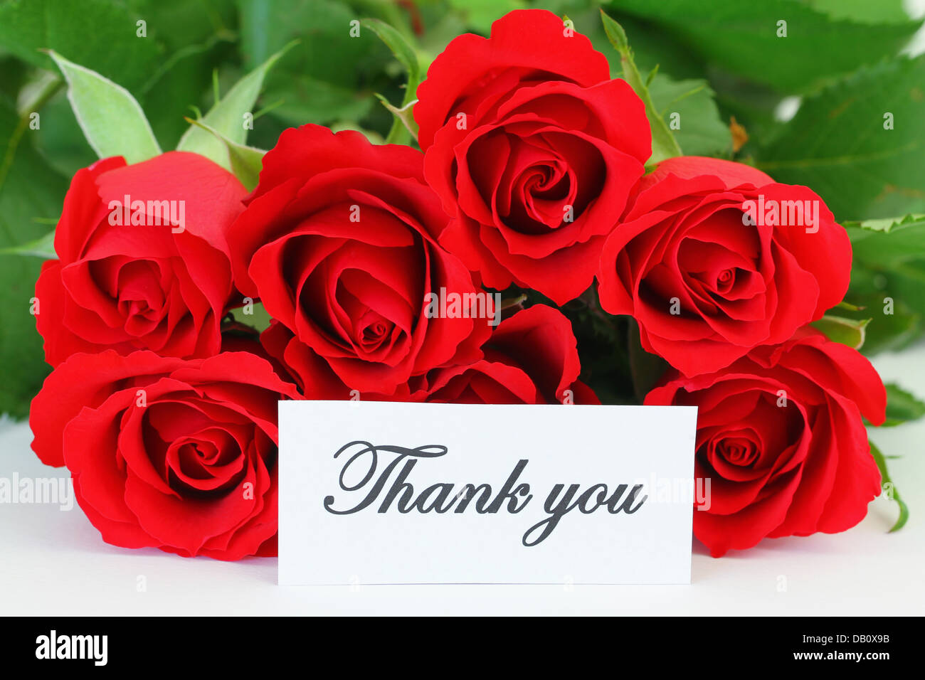 Merci note avec des roses Banque de photographies et d’images à haute ...