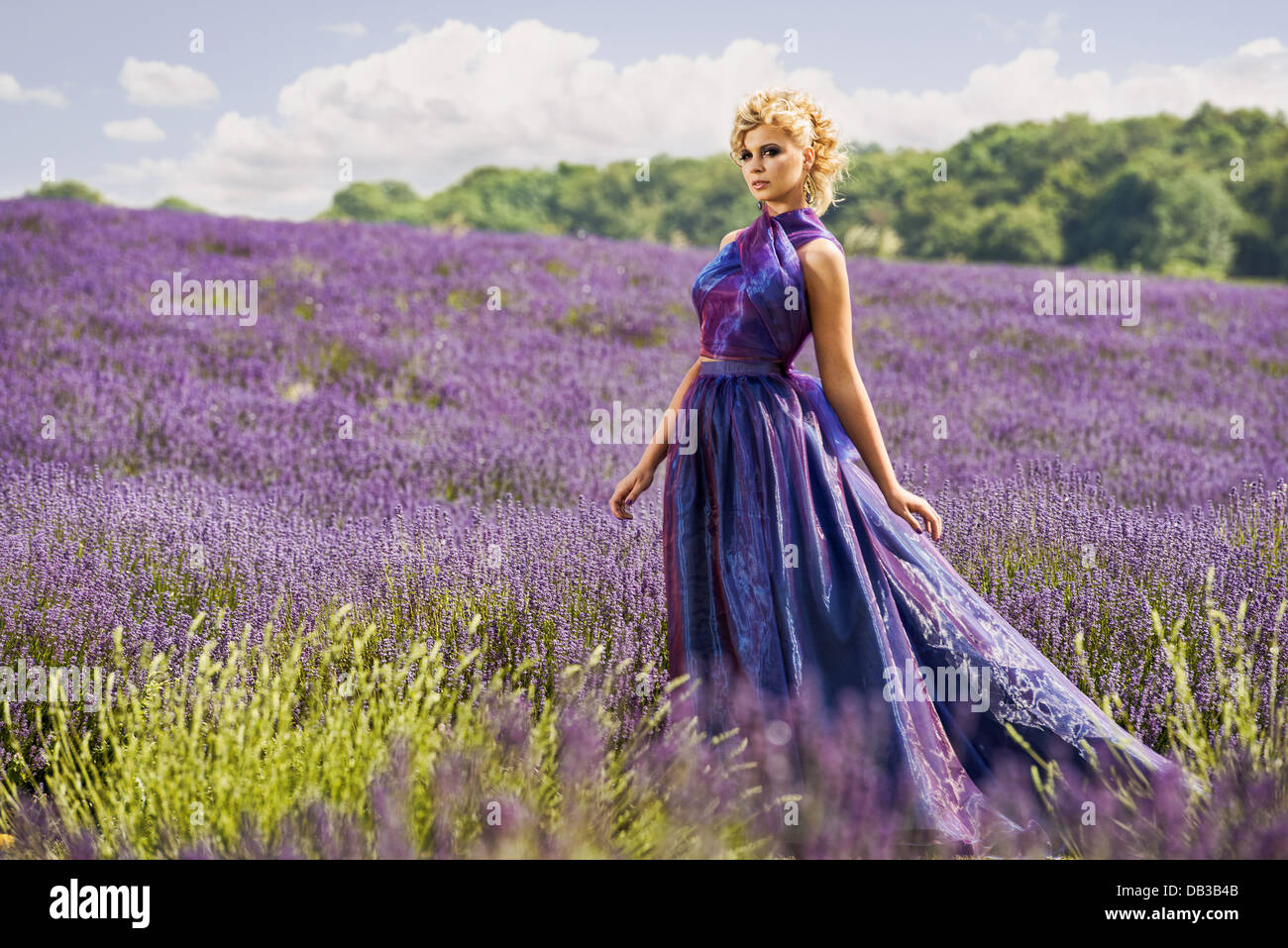 Model in lavender fields Banque de photographies et d’images à haute ...