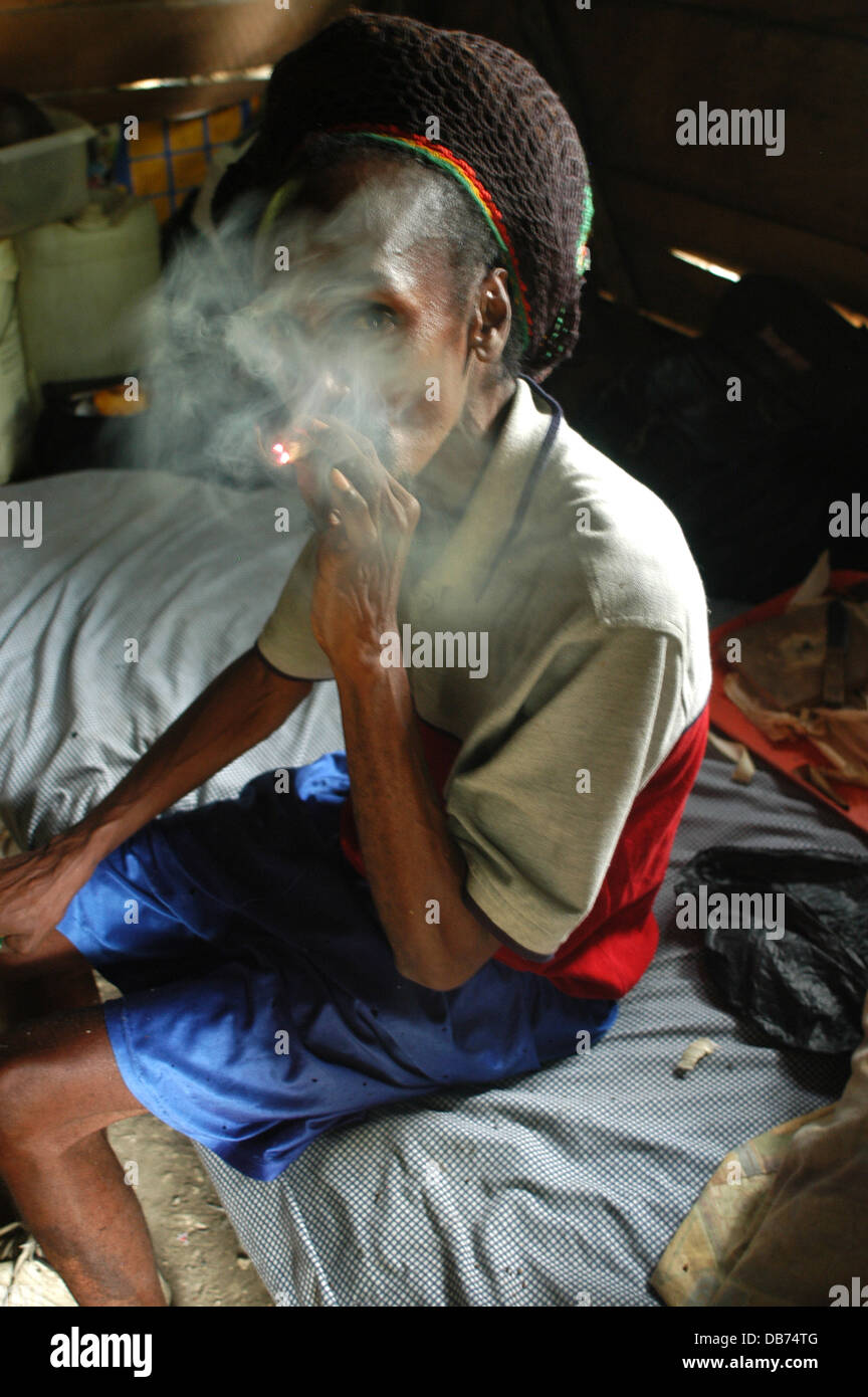 Rasta smoking Banque de photographies et d’images à haute résolution ...