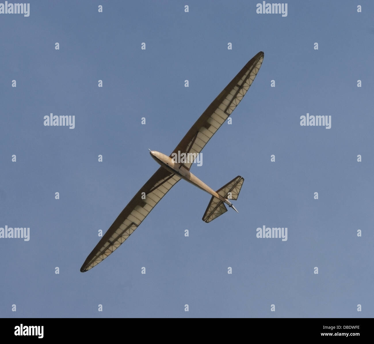 Slingsby glider Banque de photographies et d’images à haute résolution ...