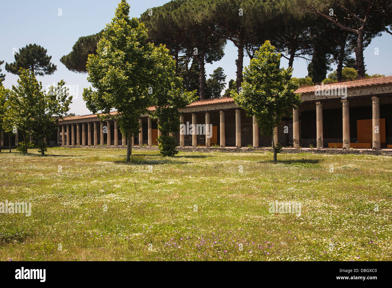 Palestre à pompeii Banque de photographies et d’images à haute ...