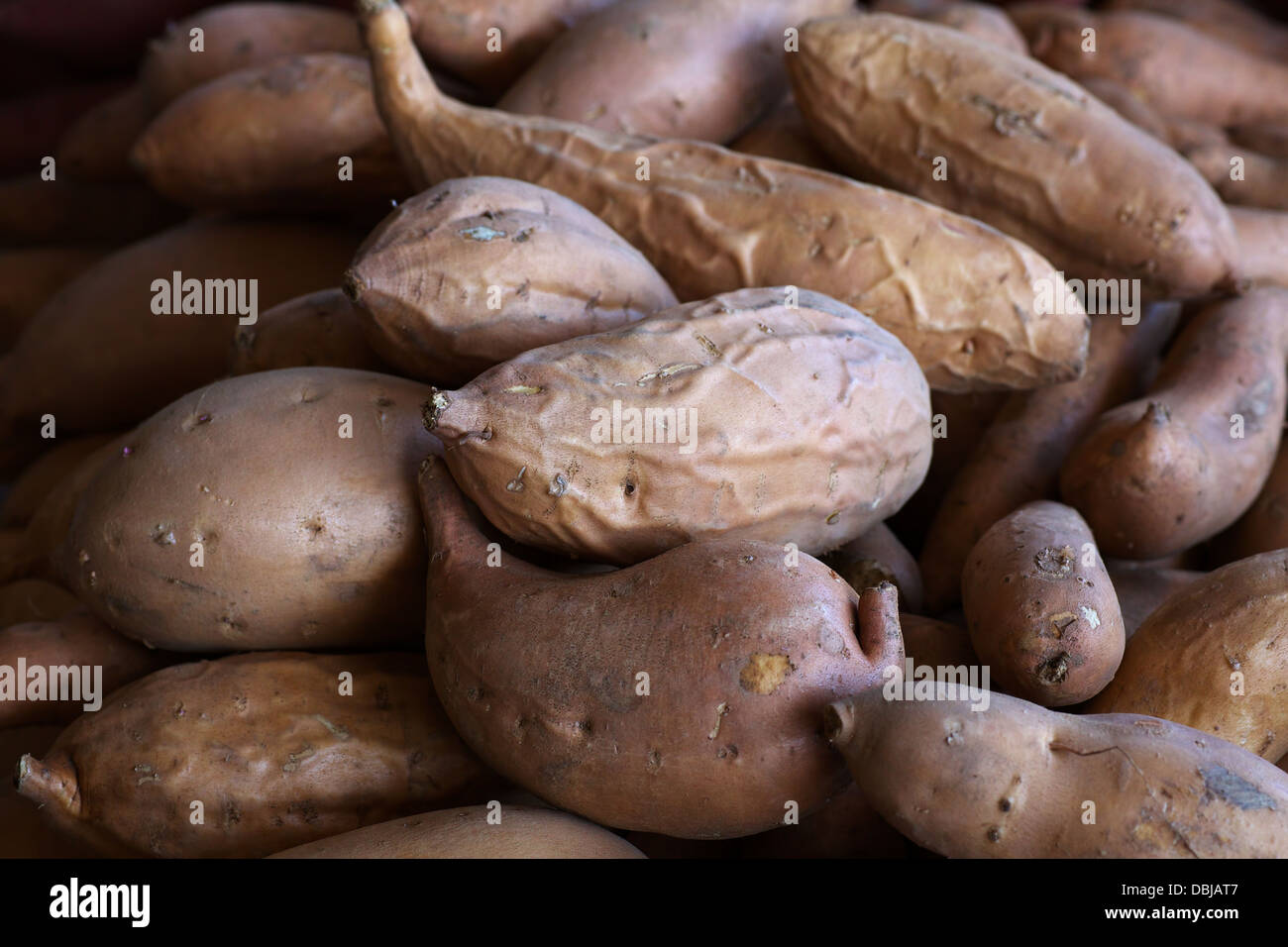 Des ignames Banque de photographies et d’images à haute résolution - Alamy