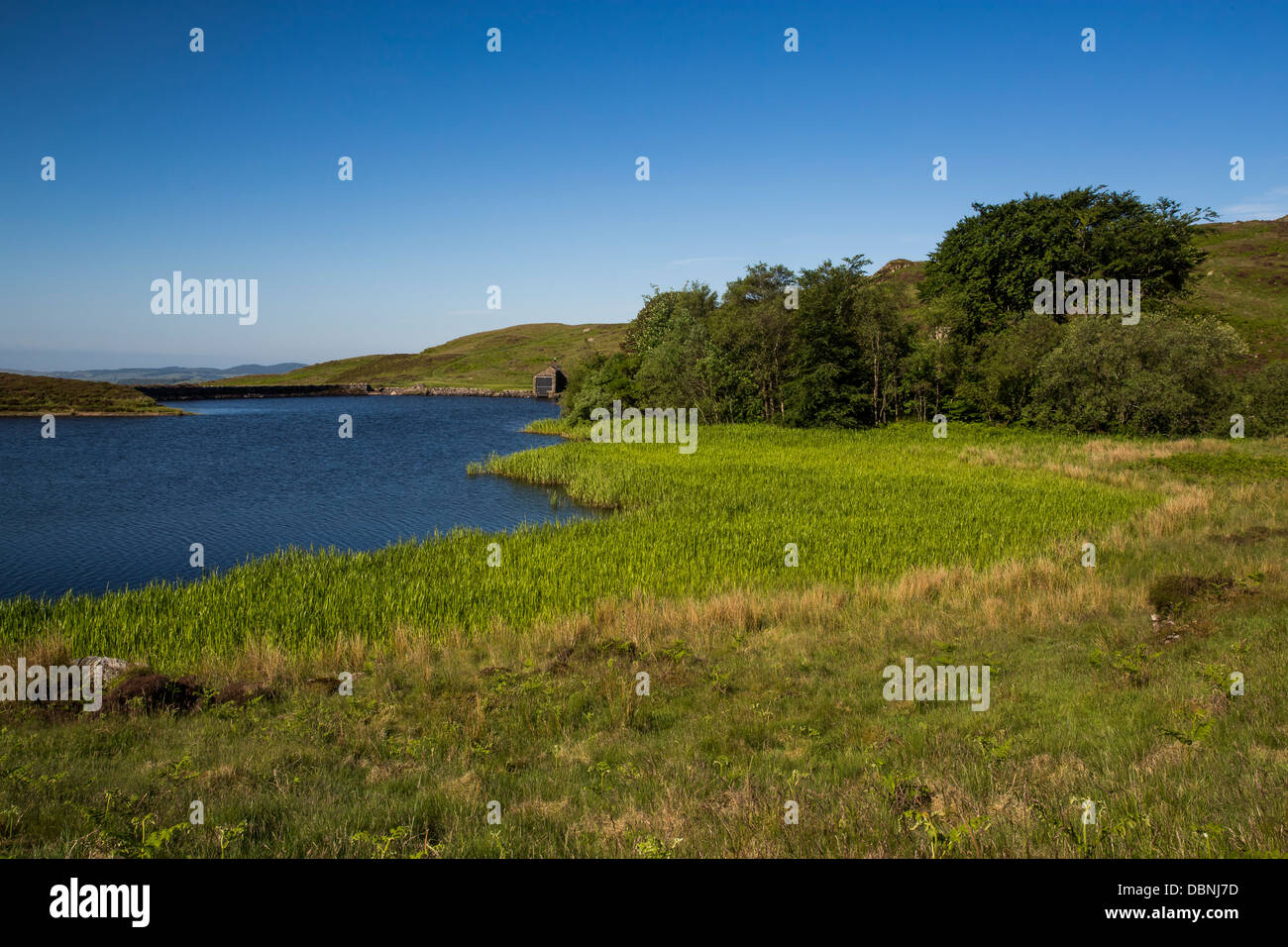 Les dubbs Banque de photographies et d’images à haute résolution - Alamy