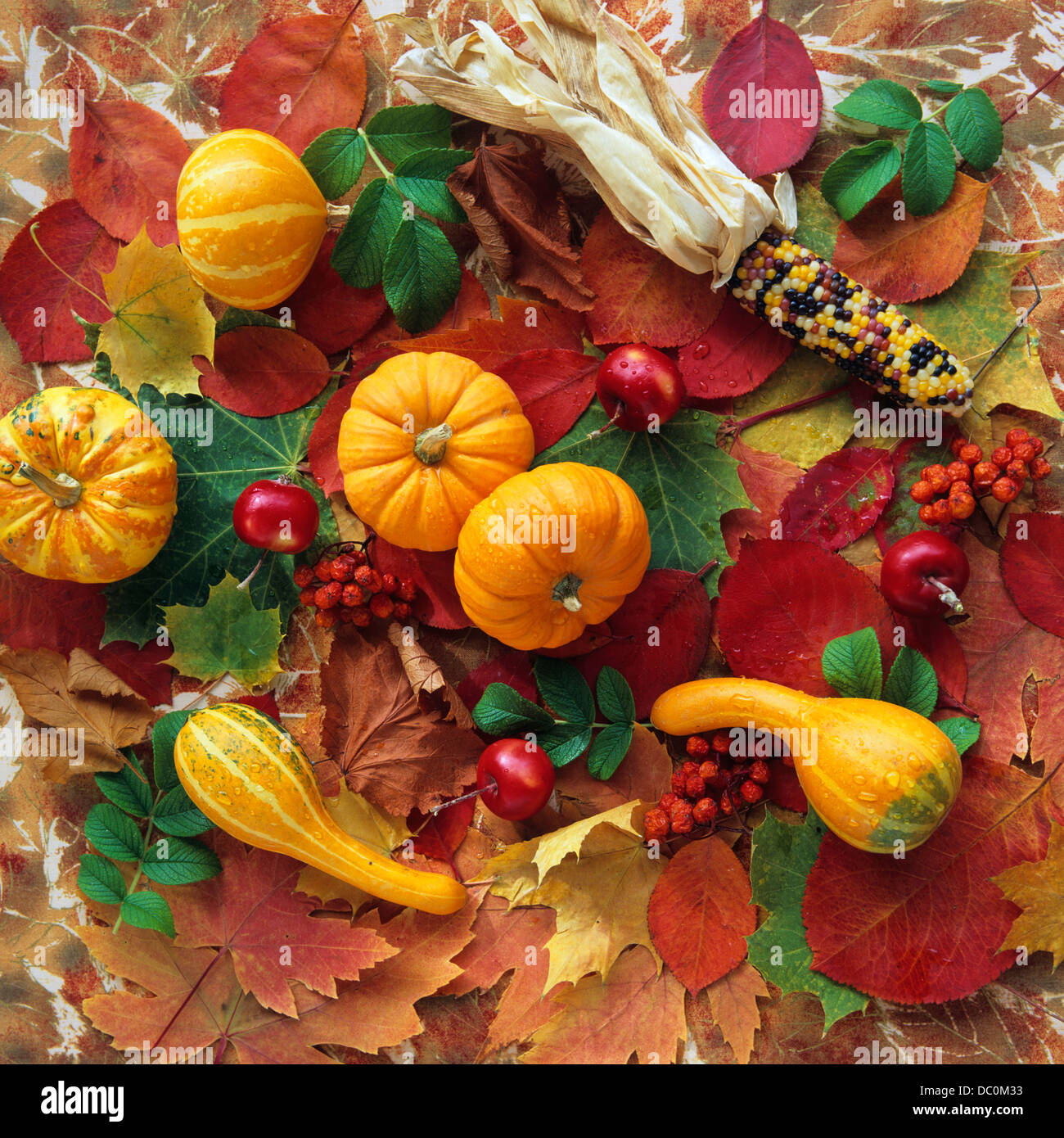 La VIE ENCORE LA RÉCOLTE AVEC DES FEUILLES, DES FRUITS ET LÉGUMES Photo ...