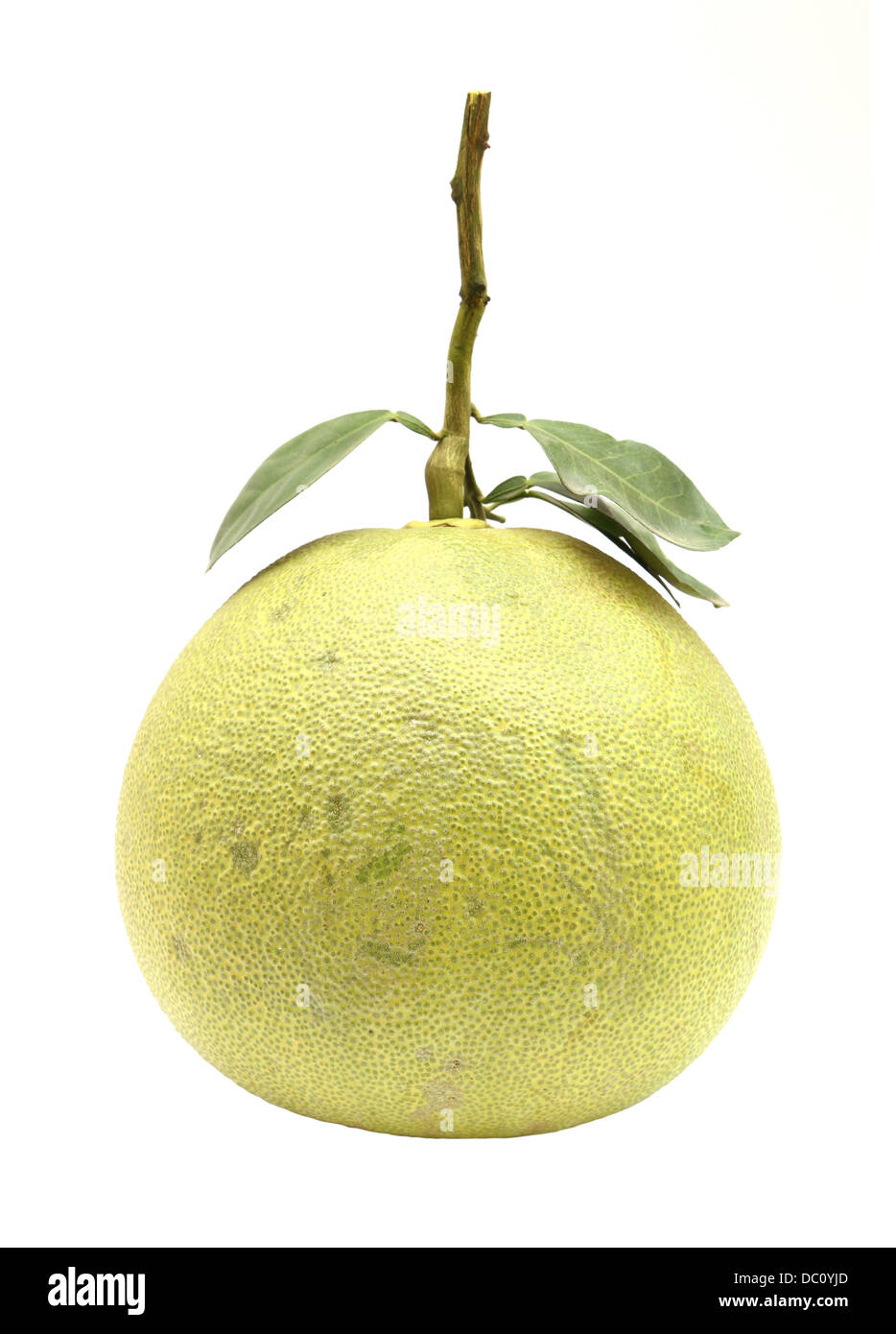 Fruit de pomelo vert Banque de photographies et d’images à haute ...