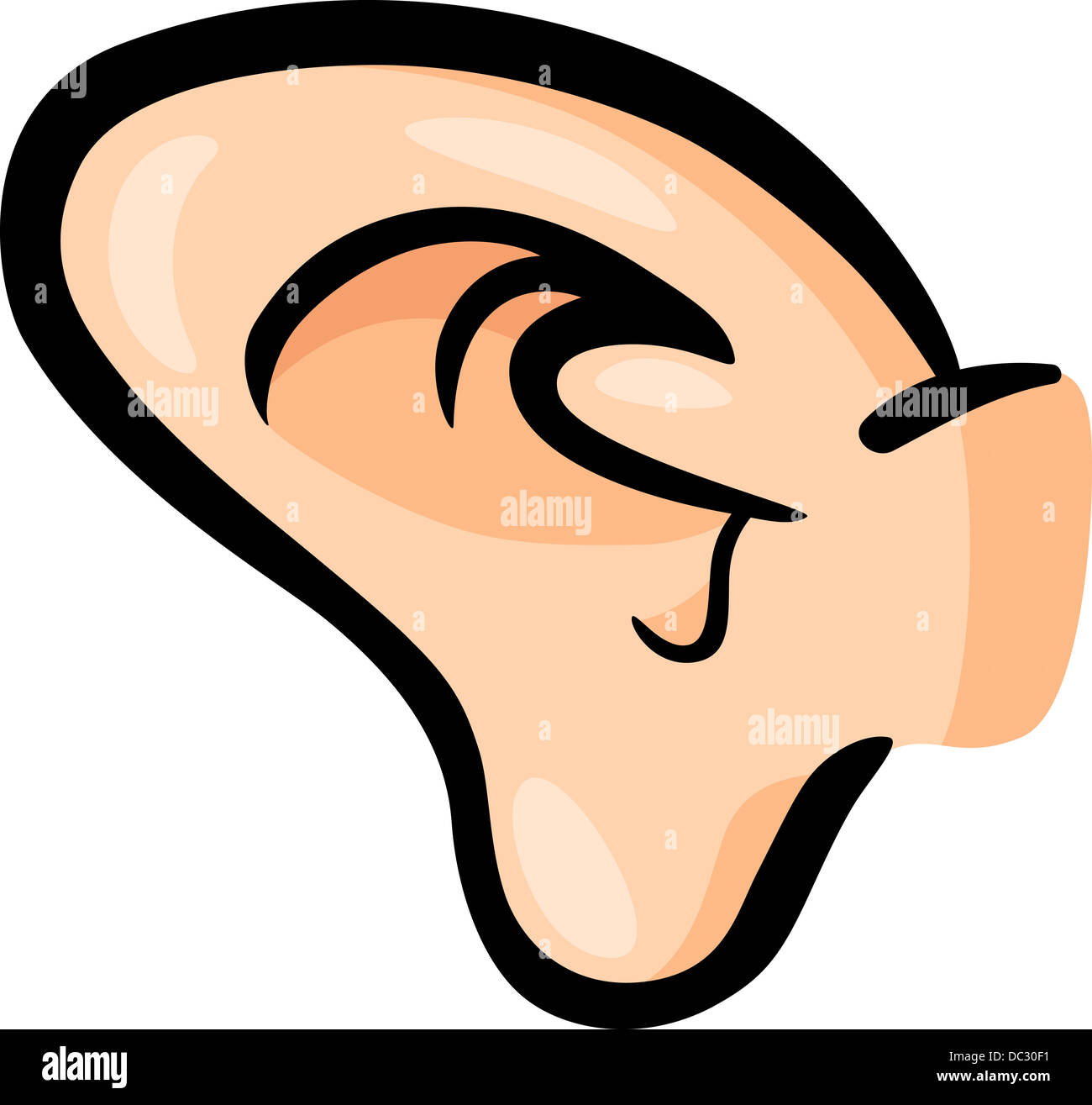 Cartoon Illustration de l'oreille humaine Clip Art Photo Stock - Alamy
