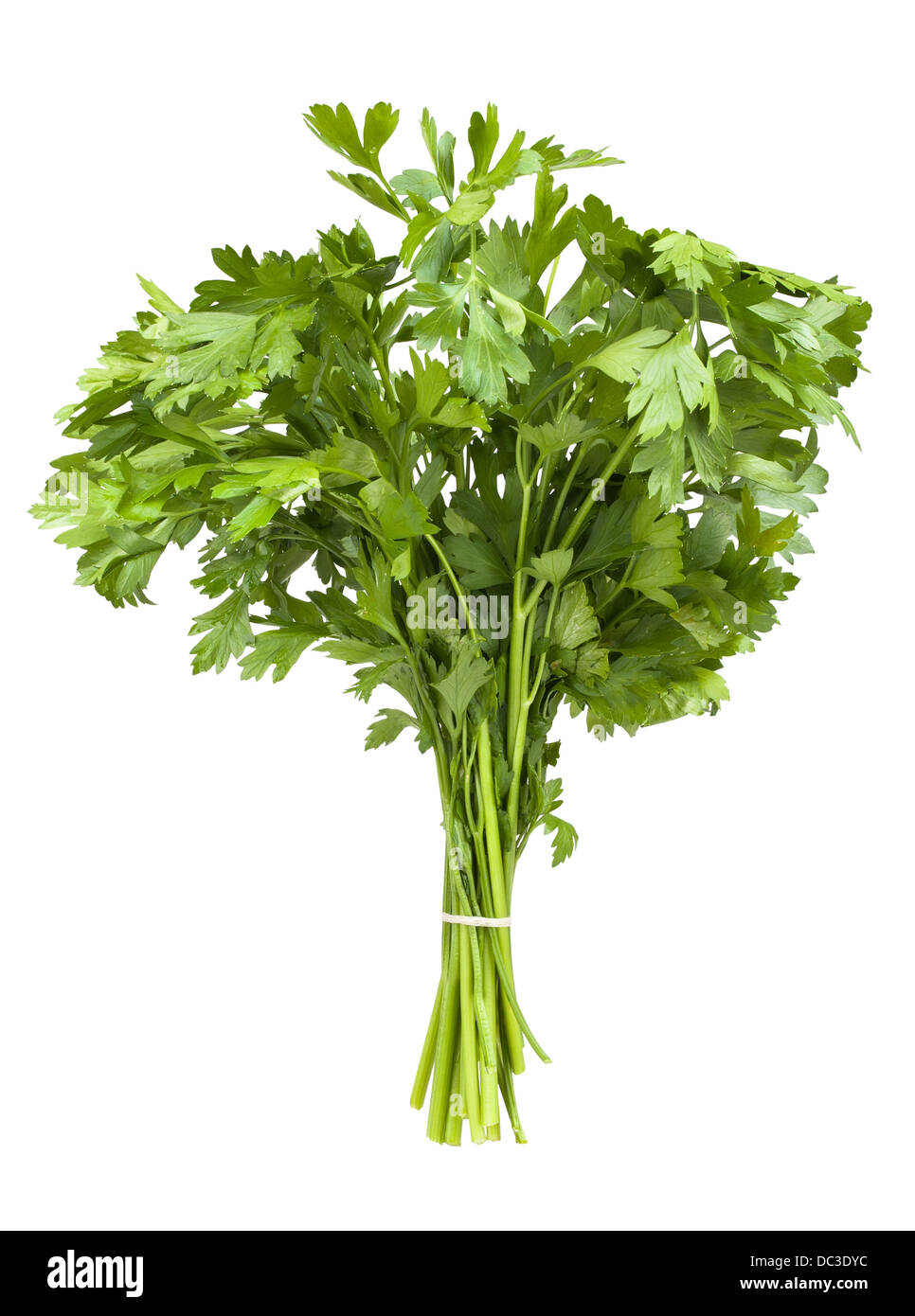 Feuilles de persil plat fraîches Banque de photographies et d’images à ...