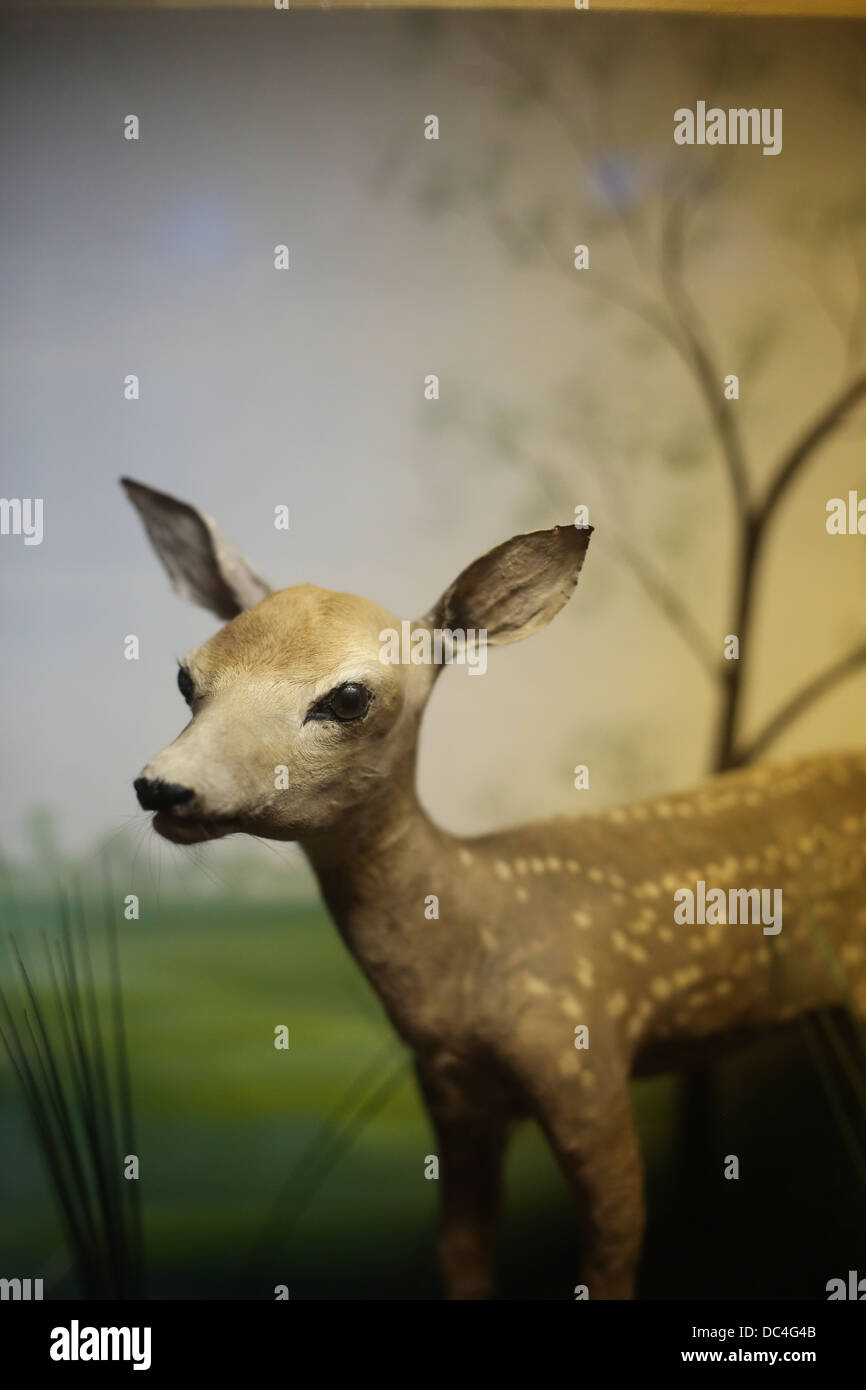 Mocassin bébé Banque de photographies et d’images à haute résolution ...