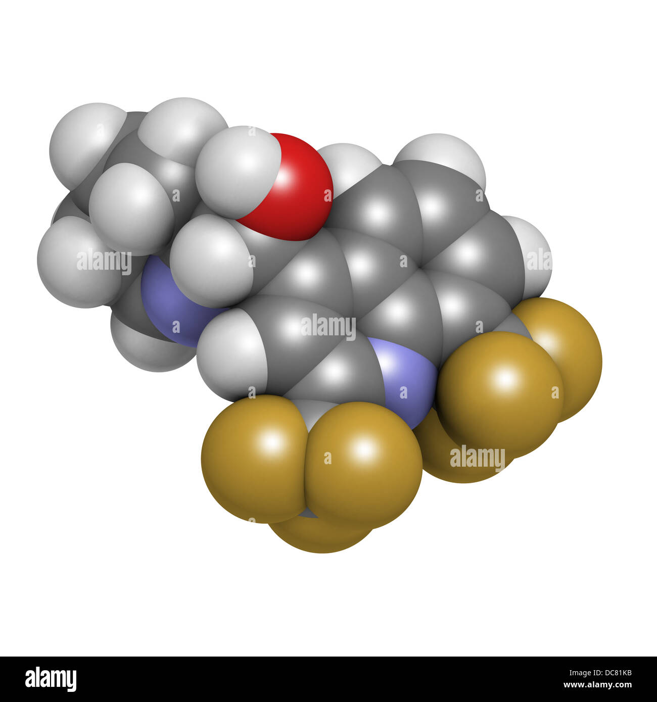 Parasitic plasmodium falciparum Banque de photographies et d’images à ...