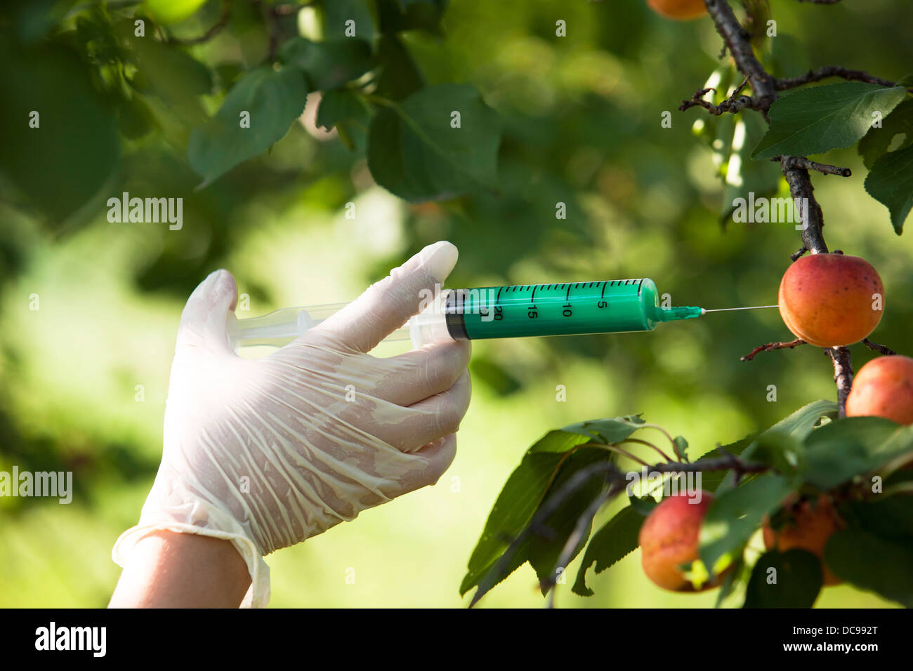 Aliments biotechnologiques Banque de photographies et d’images à haute ...