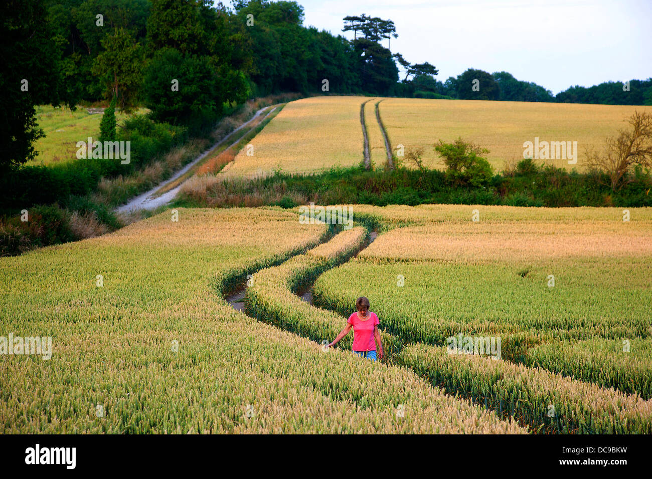 Soirée paisible Banque de photographies et d’images à haute résolution - Alamy