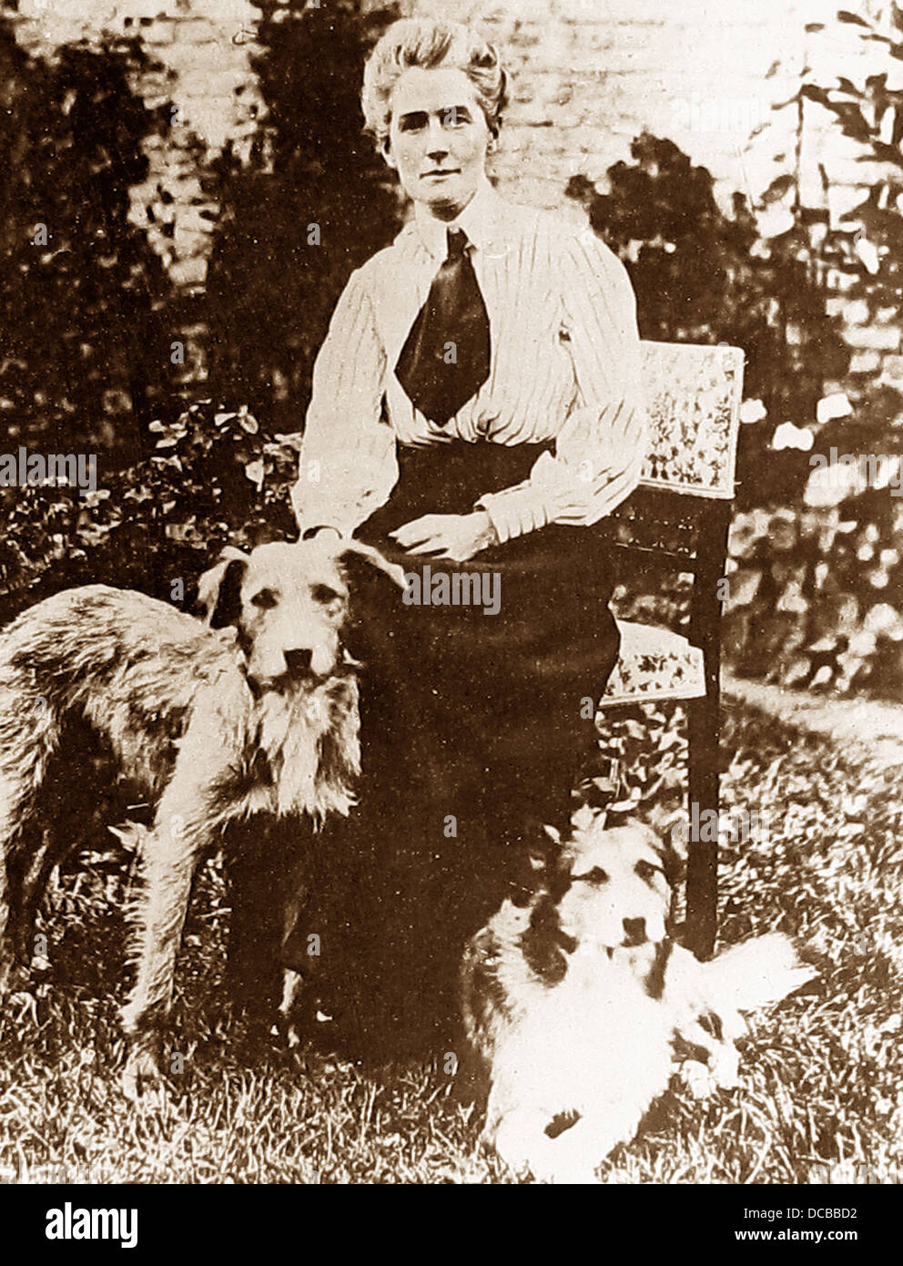 Edith cavell Banque de photographies et d’images à haute résolution - Alamy