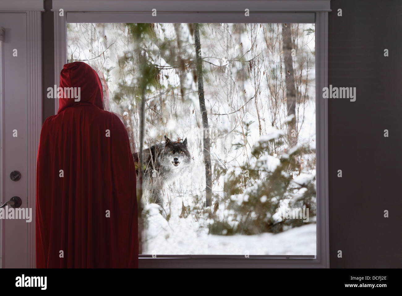 Loup et petit chaperon rouge Banque de photographies et d’images à ...