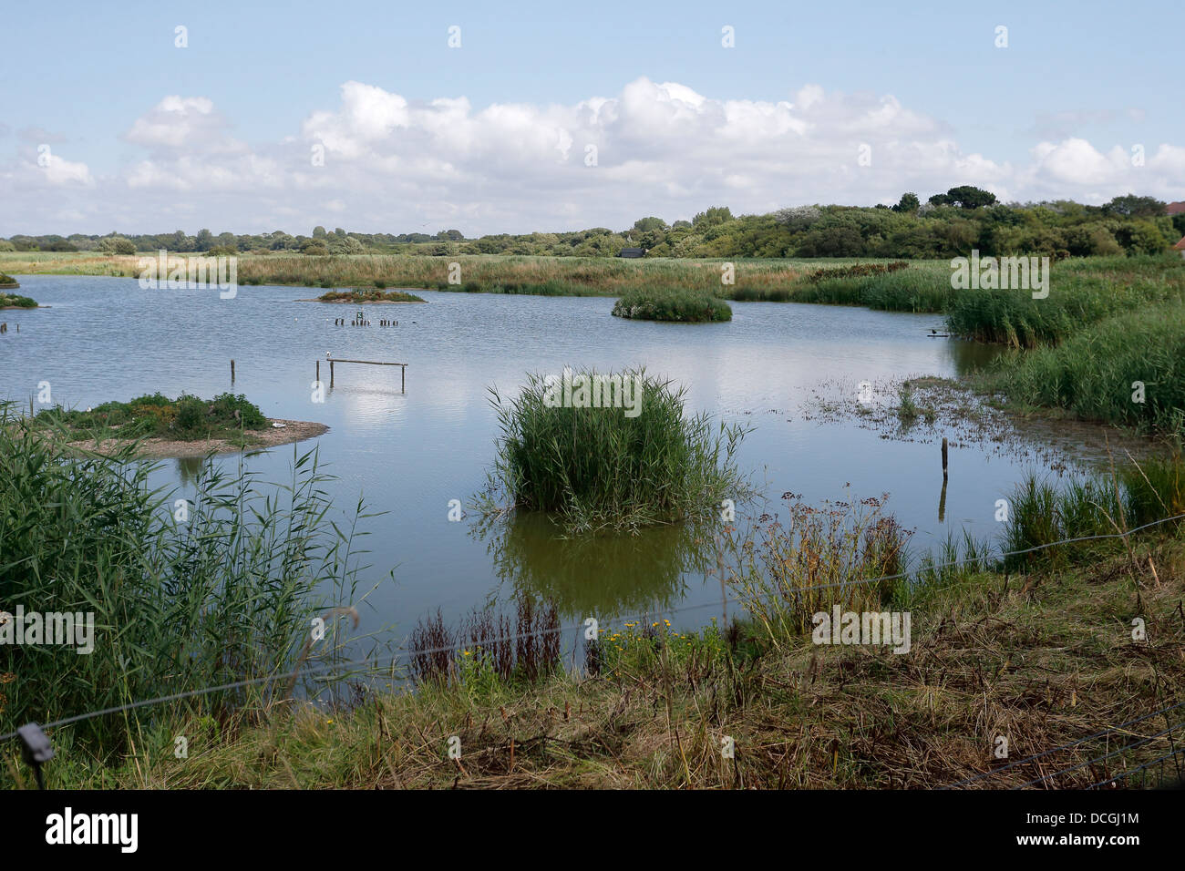Meon shore Banque de photographies et d’images à haute résolution - Alamy