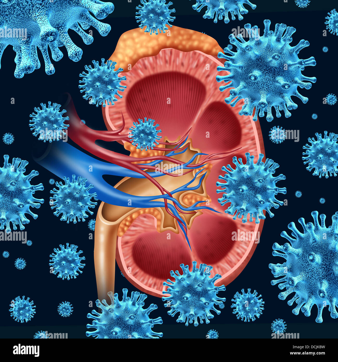Une infection rénale concept avec un groupe de virus infectant les ...