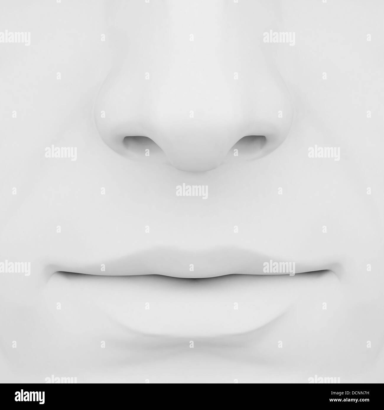 Nez humain anatomy Banque d'images noir et blanc - Alamy