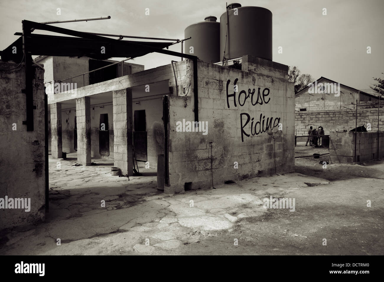 Depressed horse Banque de photographies et d’images à haute résolution ...