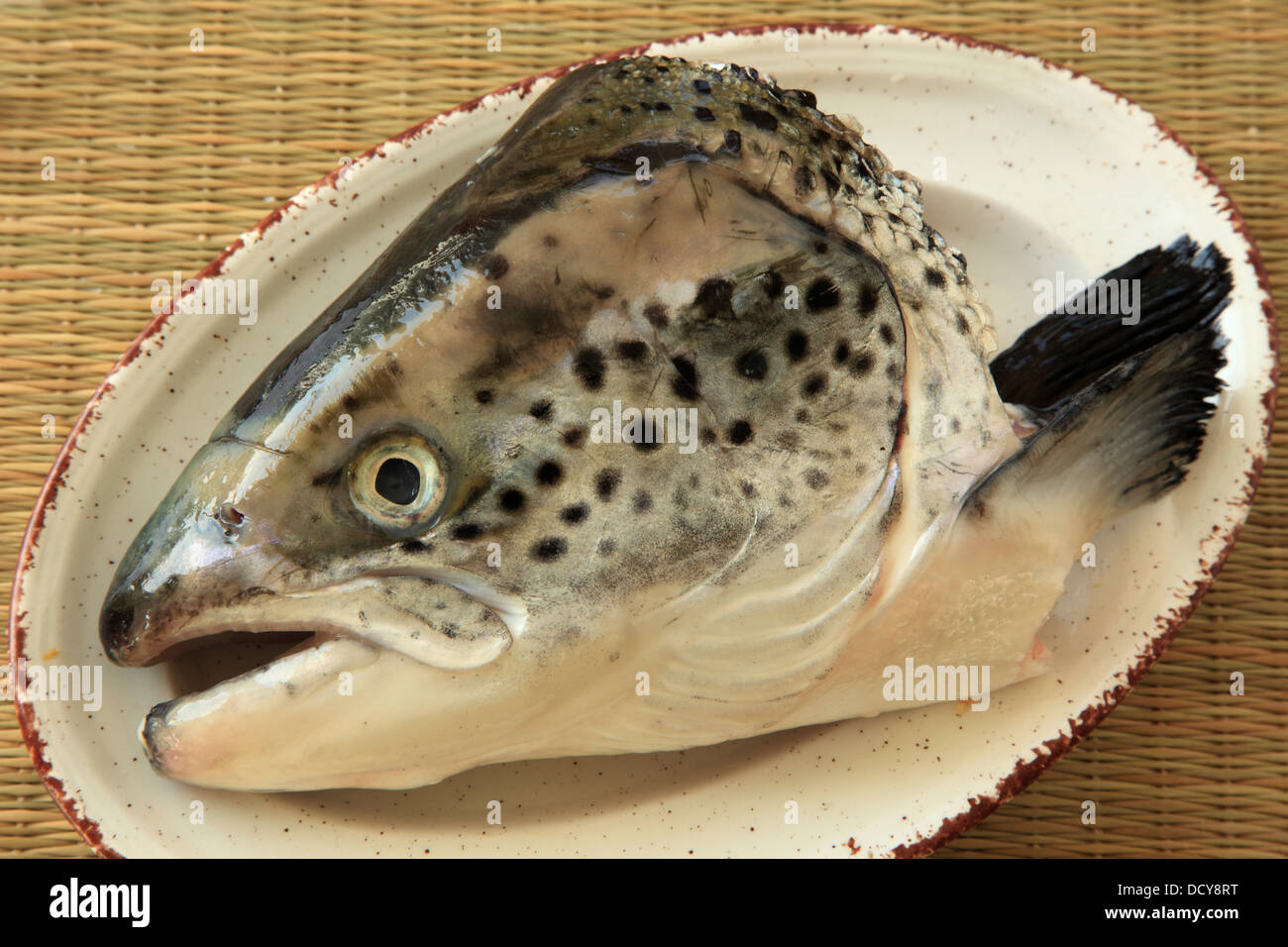 Tête De Poisson Banque d'image et photos - Alamy