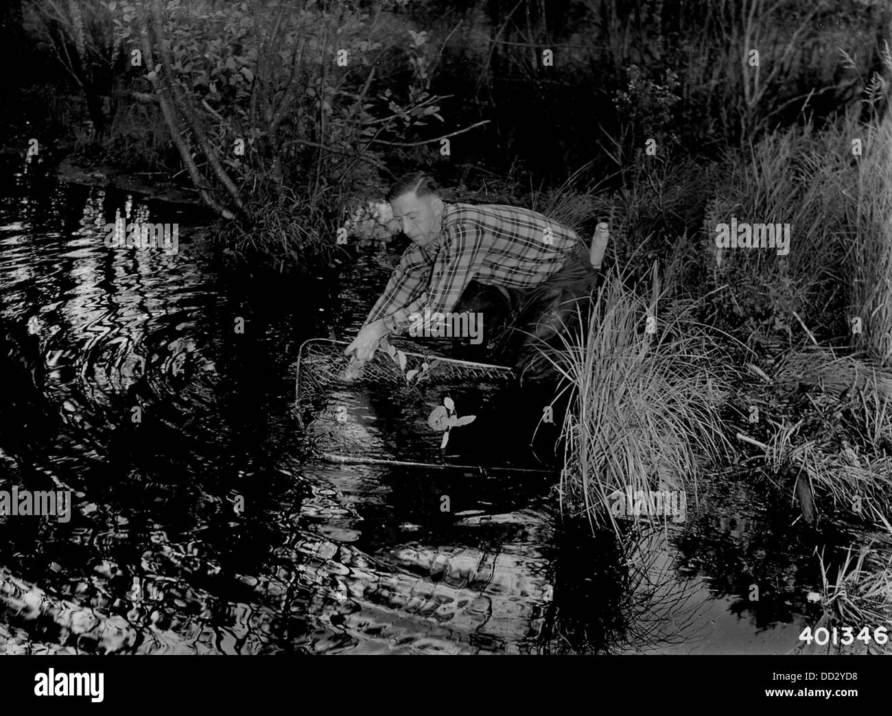 Piège à ressort Banque d'images noir et blanc - Alamy
