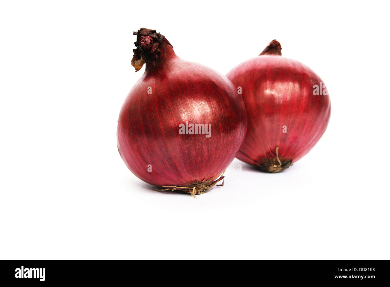 Oignons rouges sur fond blanc Banque de photographies et d’images à ...