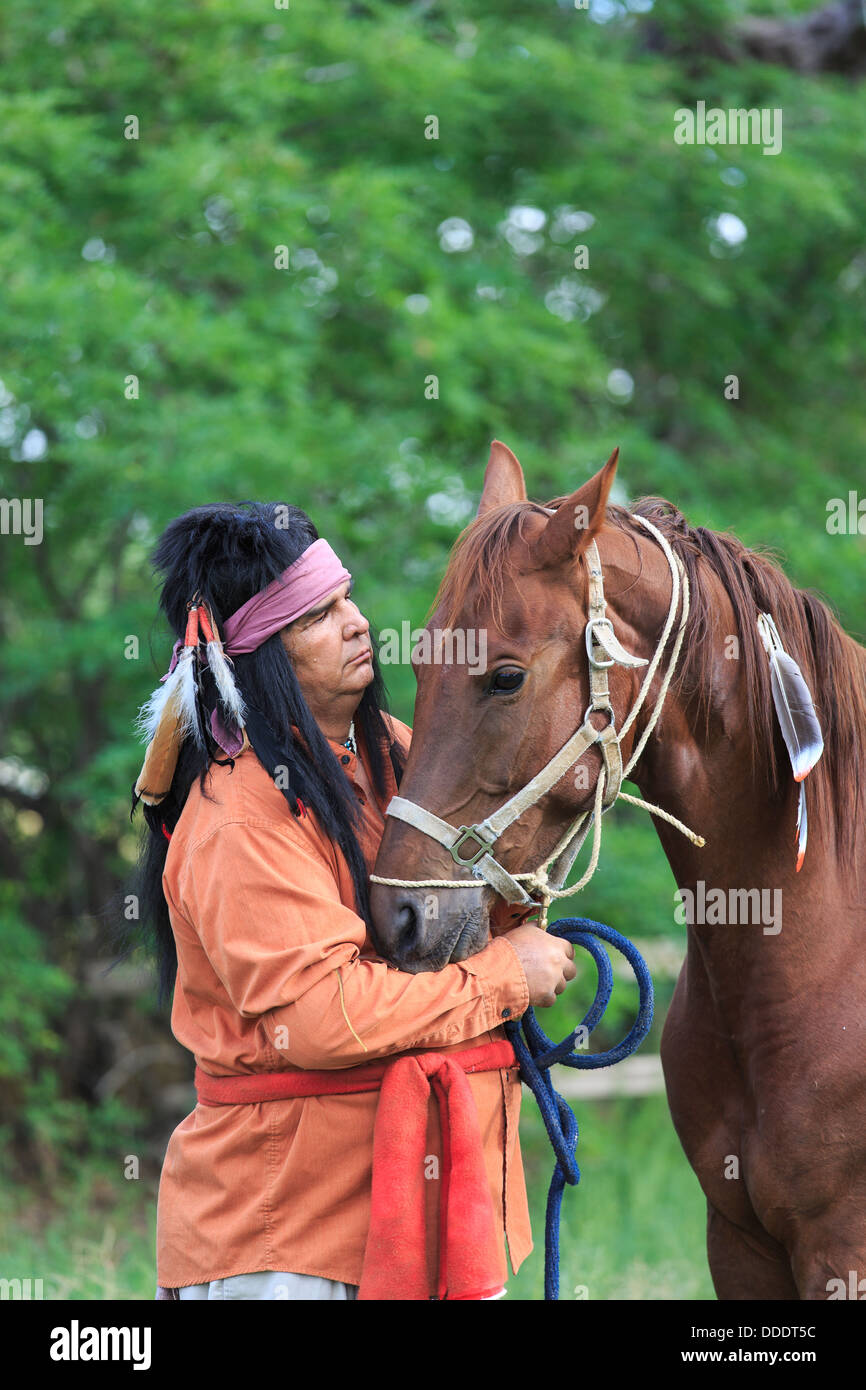 Cheval indien américain Banque de photographies et d’images à haute ...